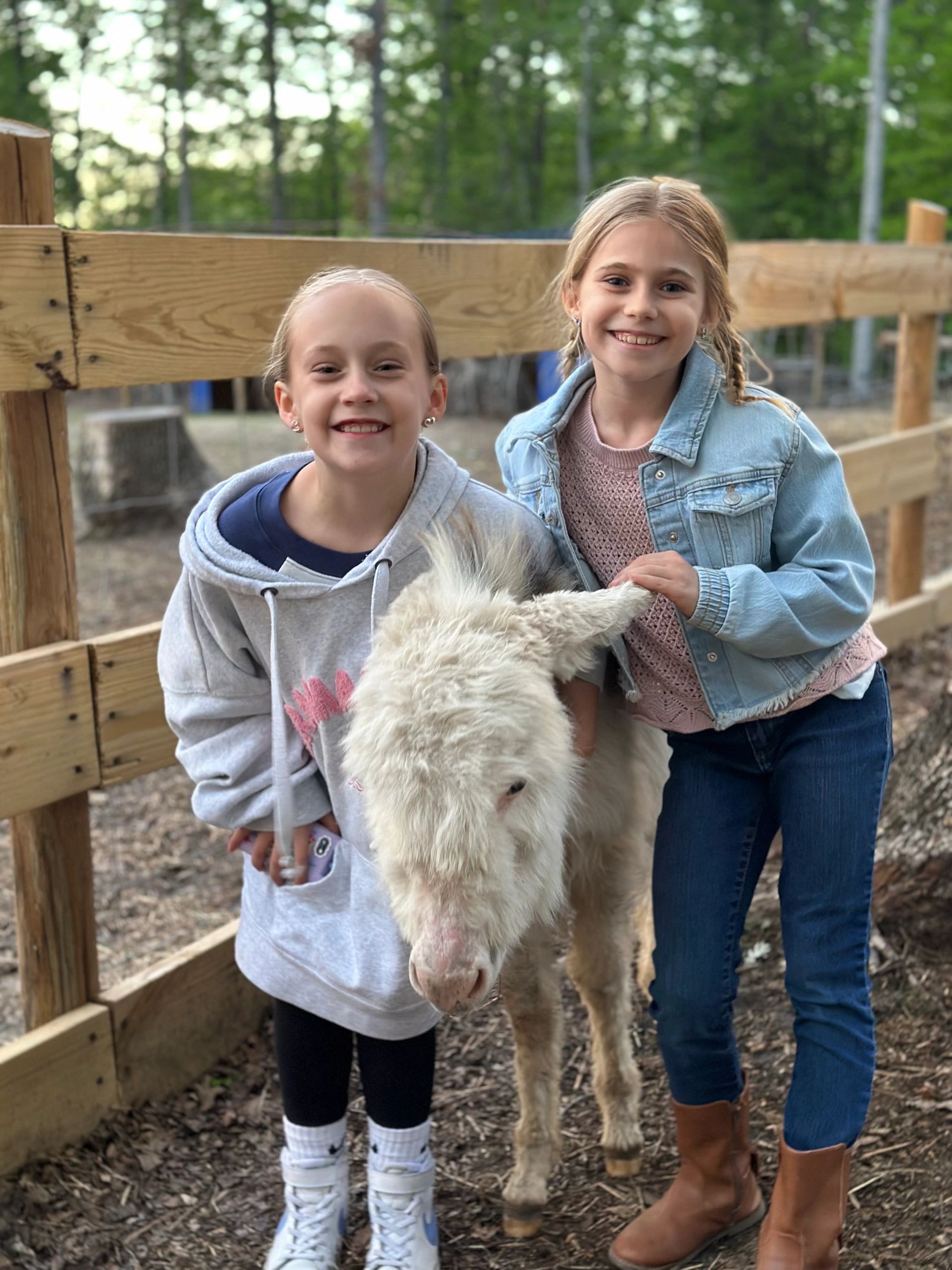 ADD ON-Mini Donkey (During your cow cuddle session)