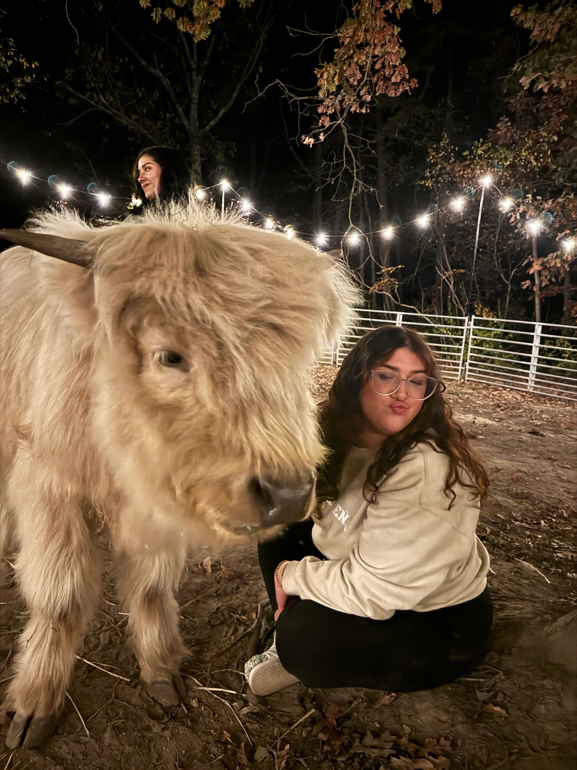 After Hours-Evening Cow Cuddle Session