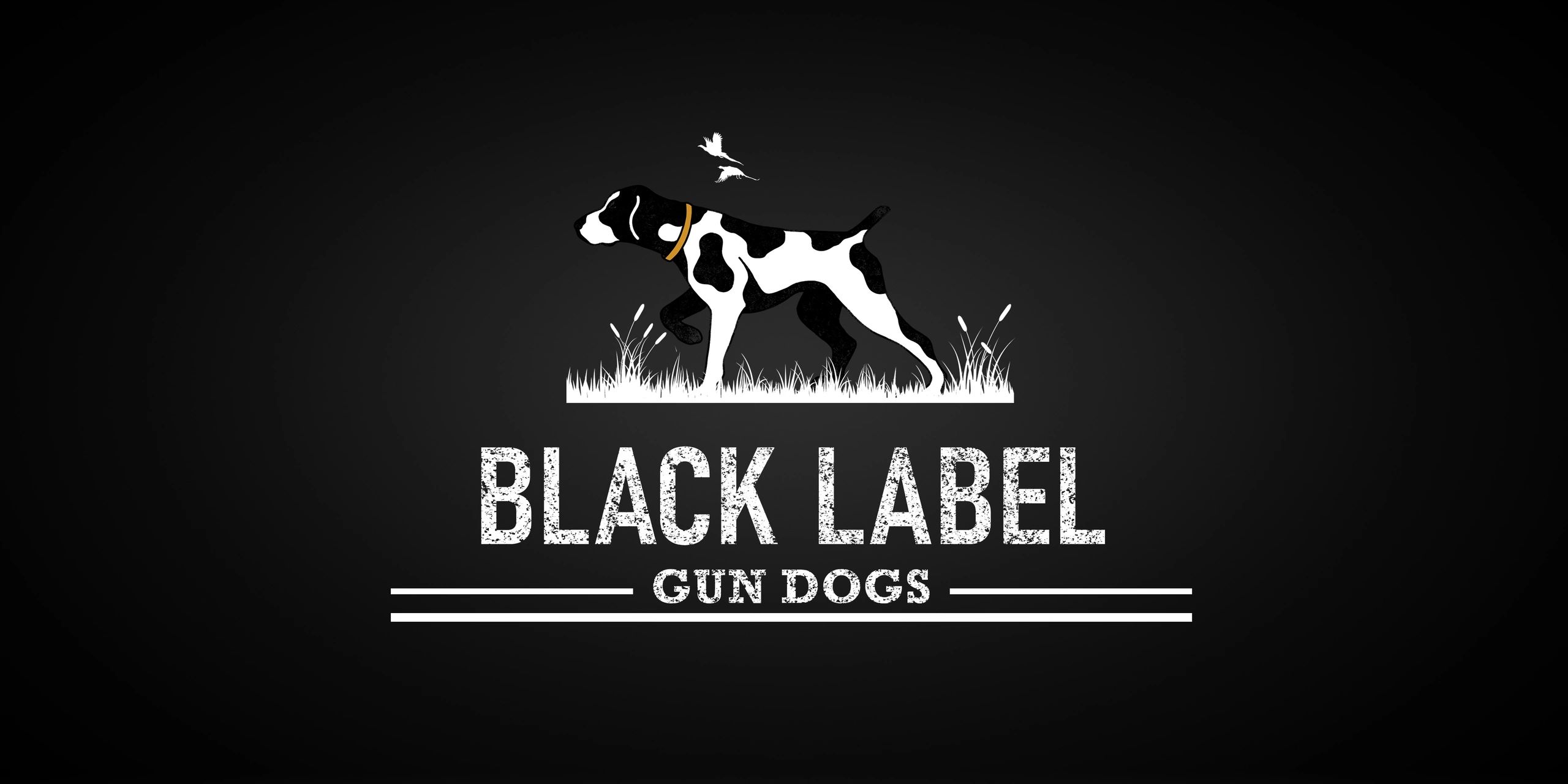 Black Label Gun Dogs