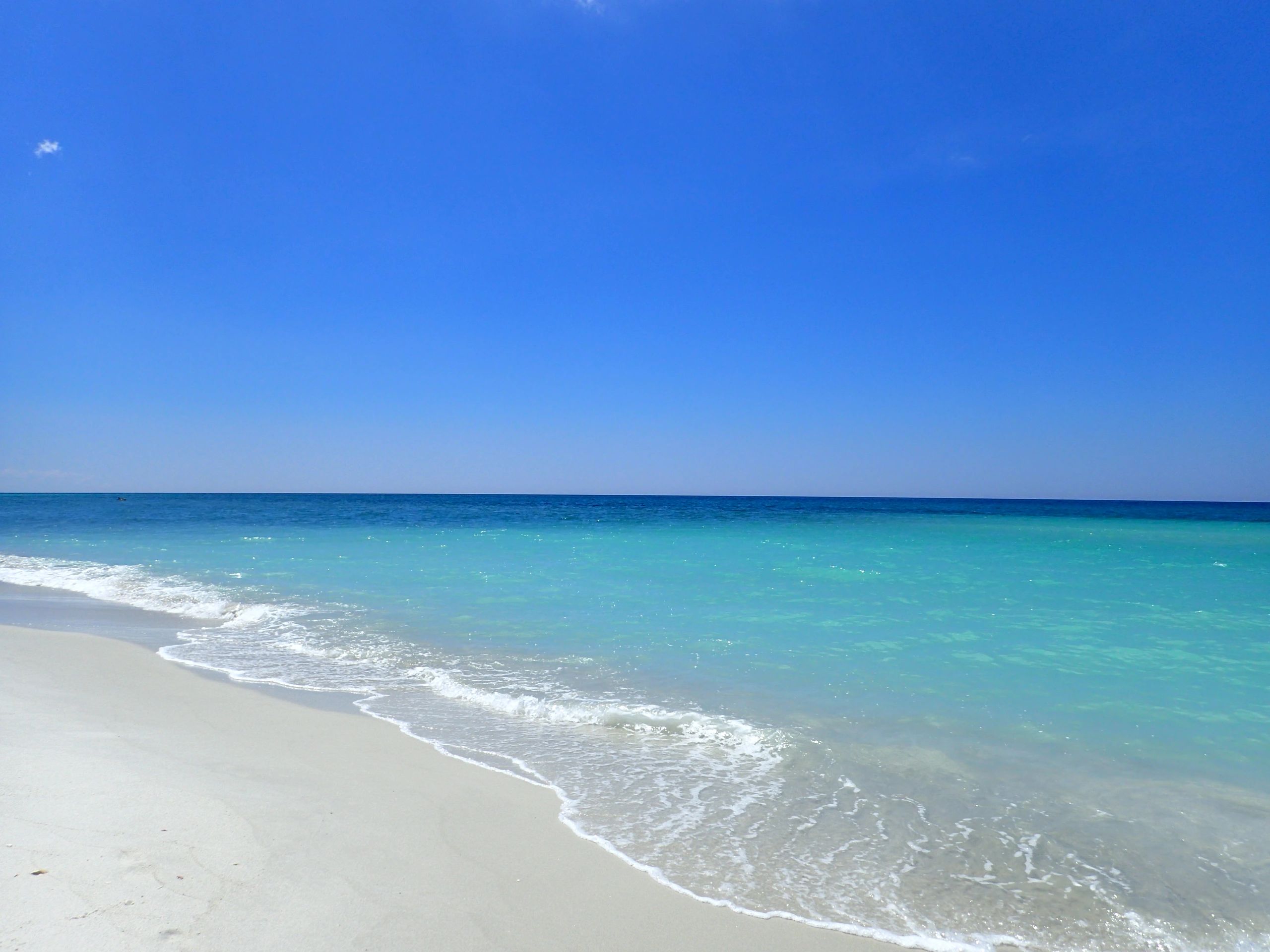 Pinnacle Port - Pinnacle Port Condos