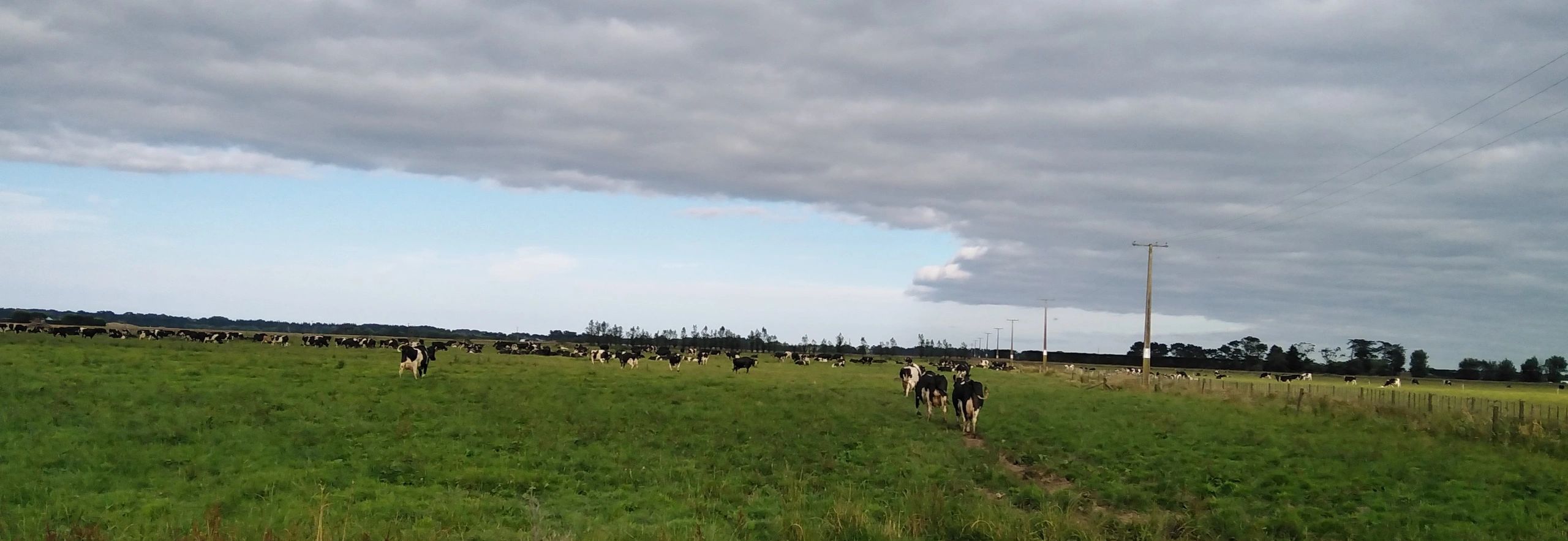 Blockwise Services Ltd