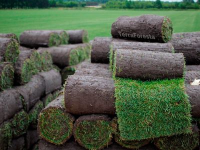 TerraForesta - Pasto en Rollo, Tierra Negra, Jardineria | TerraForesta