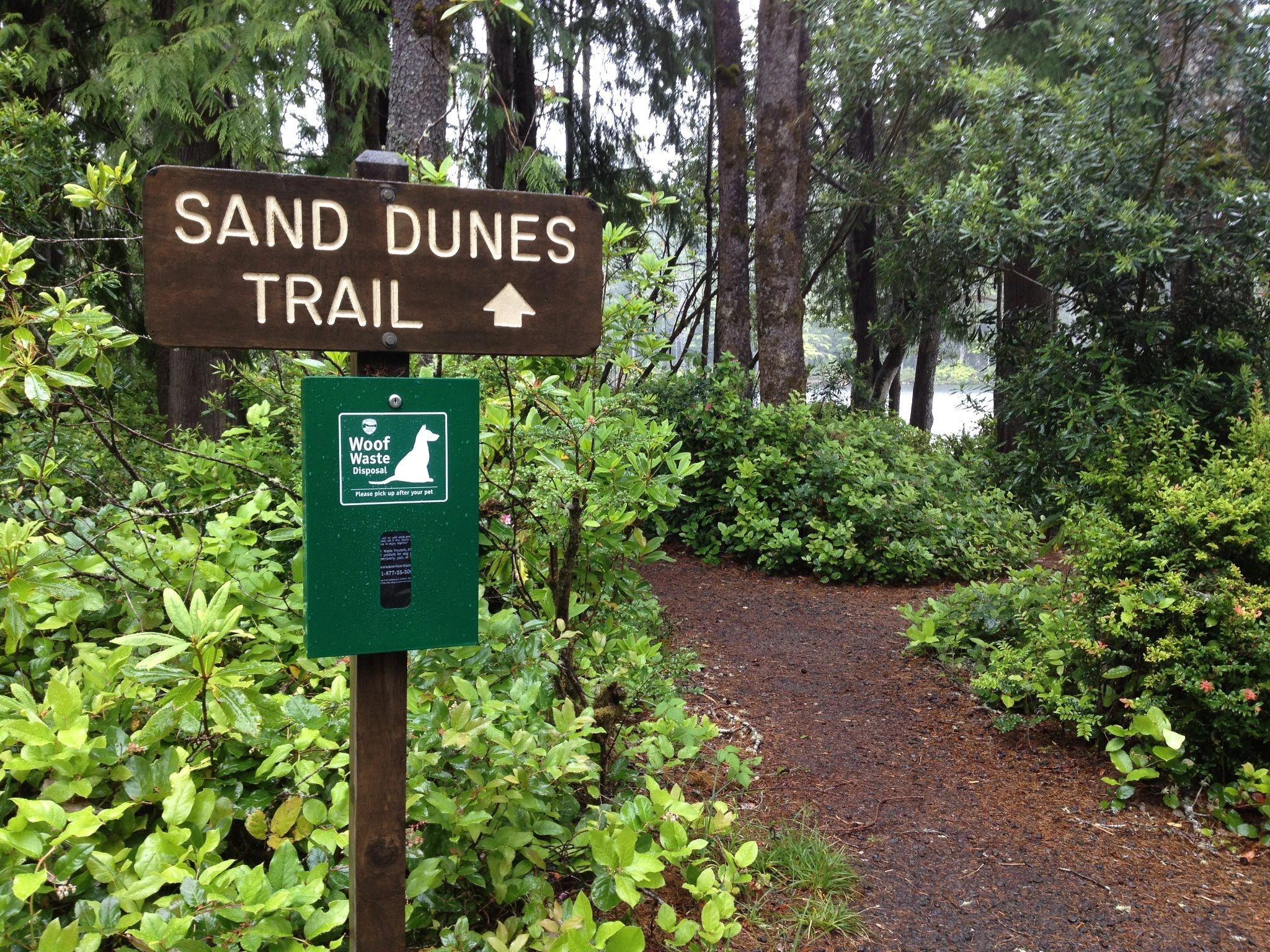 Discovery, job development, job placement and job coaching services ...