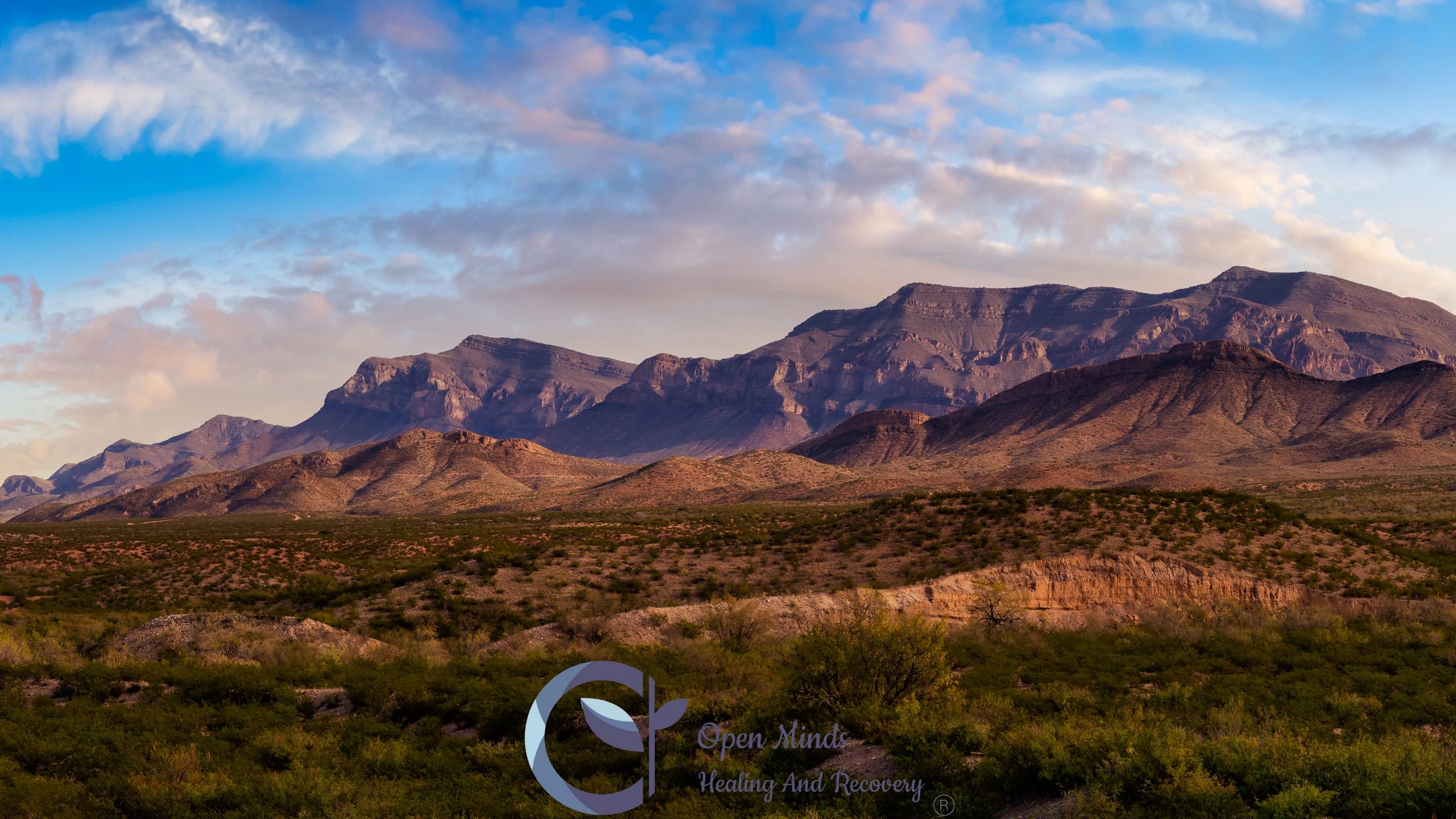 Open Minds Healing And Recovery