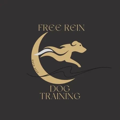 Free Rein Dog Training