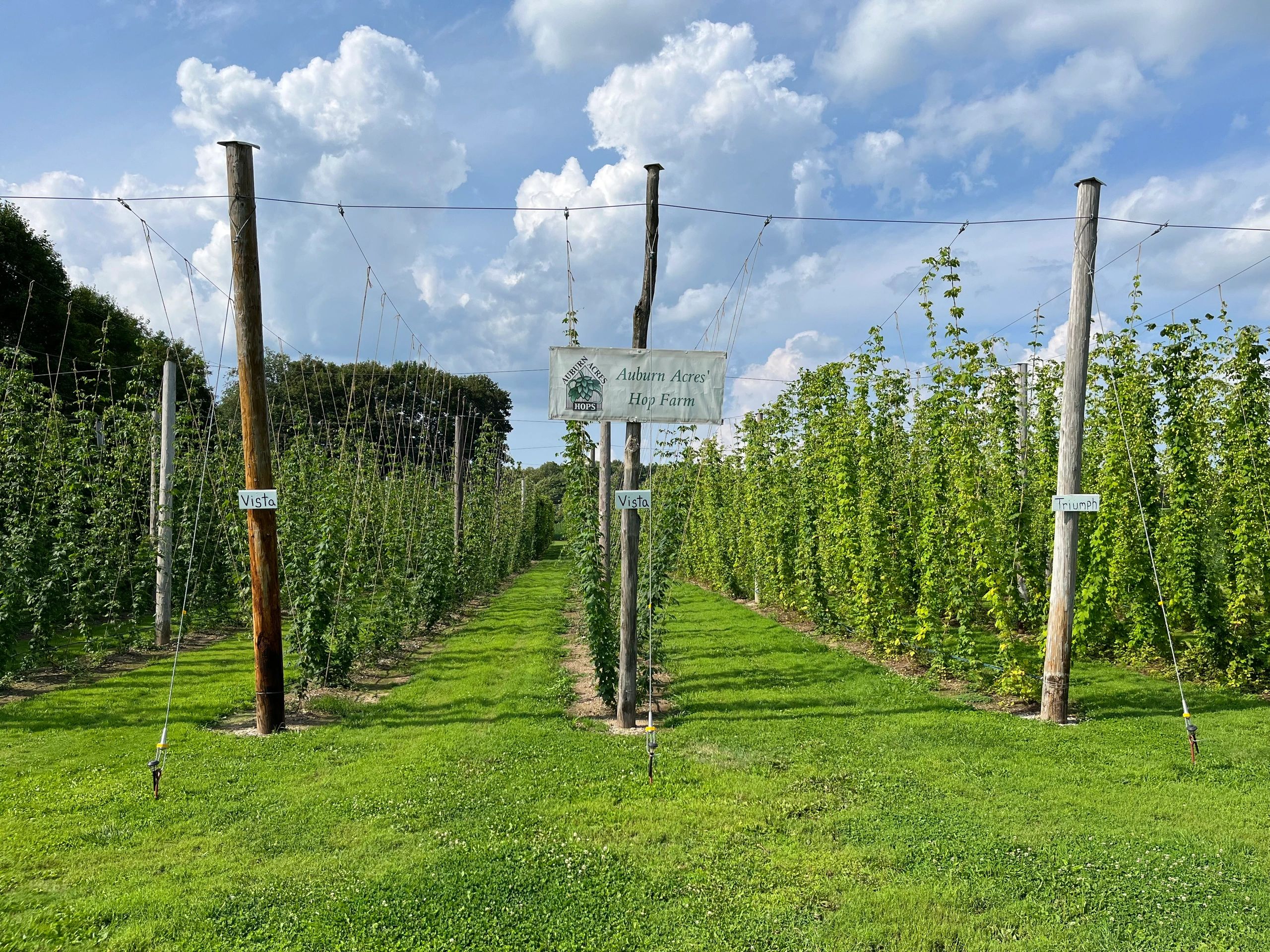 Auburn Acres - Hop Farm - Chagrin Falls, Ohio