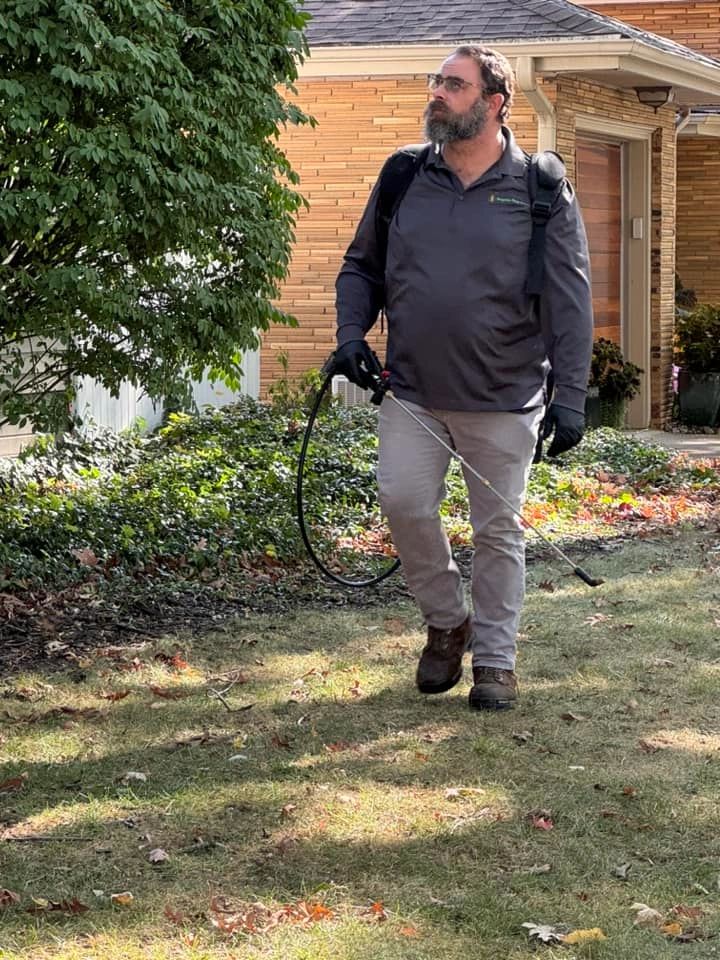 Expert Pest Control Service for Your Home or Business