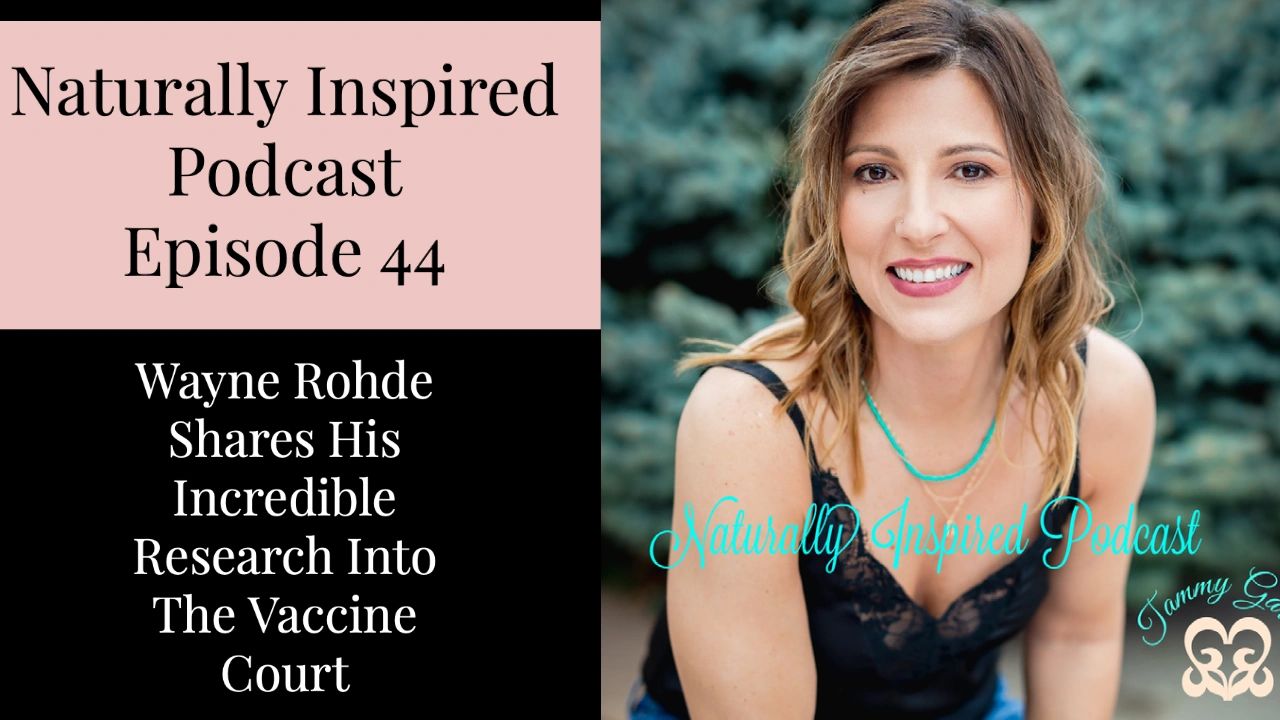 Wayne Rohde Shares His Incredible Research Into The Vaccine Court