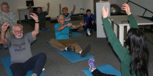 Healthy Eating and Exercising - Cardiovascular Wellness Program