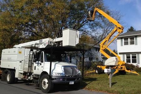The Tree Trimmer - Tree Services, Tree Removal, Tree Trimming