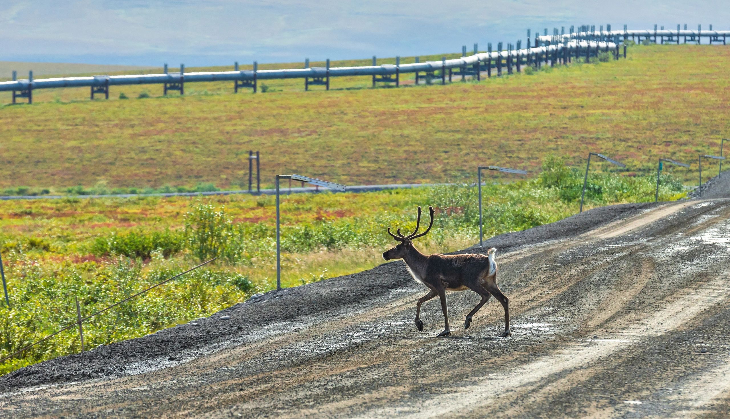 Our Team | SES Midstream