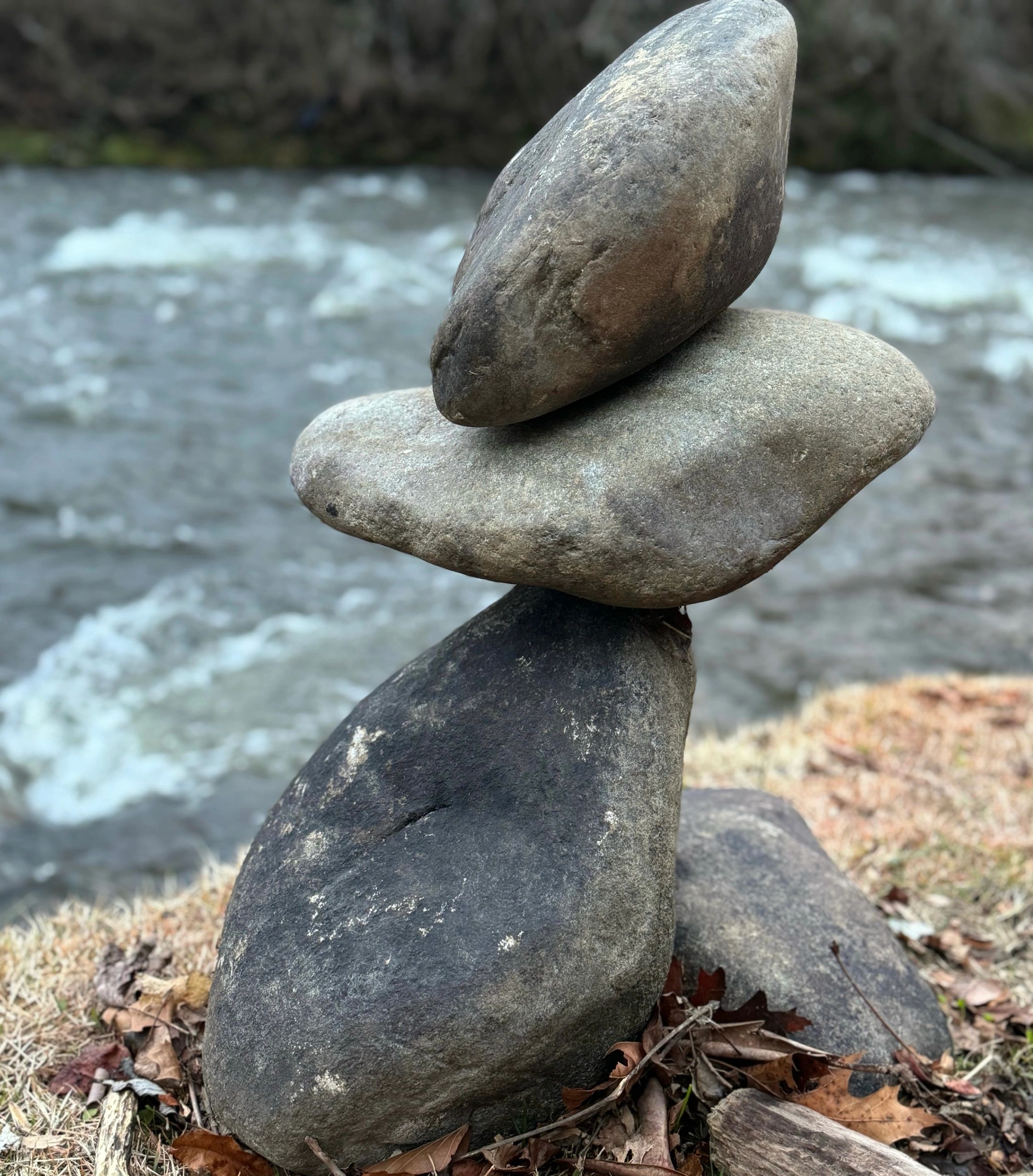 A Balanced Mind Counseling