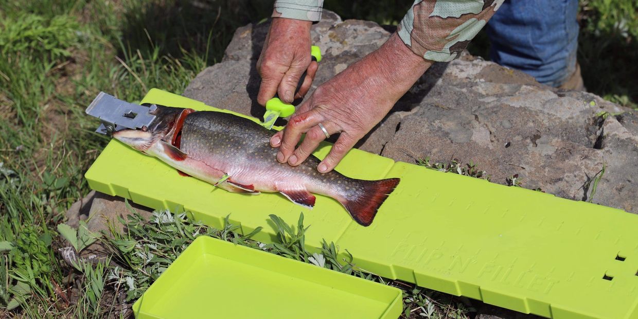 Flip n Fillet - Kit Makes Filleting Fish Easy