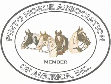 Wisconsin Pinto Horse Association