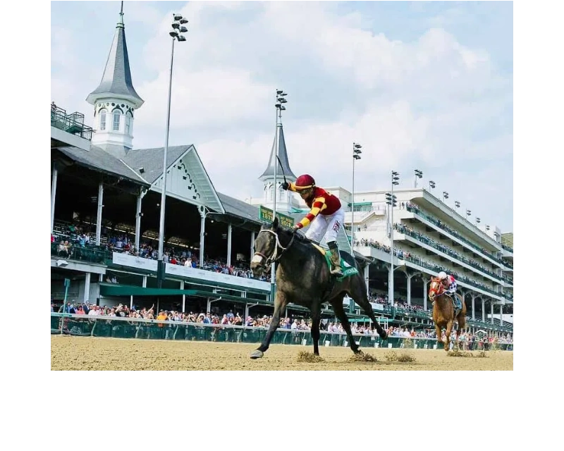 Thoroughbred Partnership - Racehorse Ownership