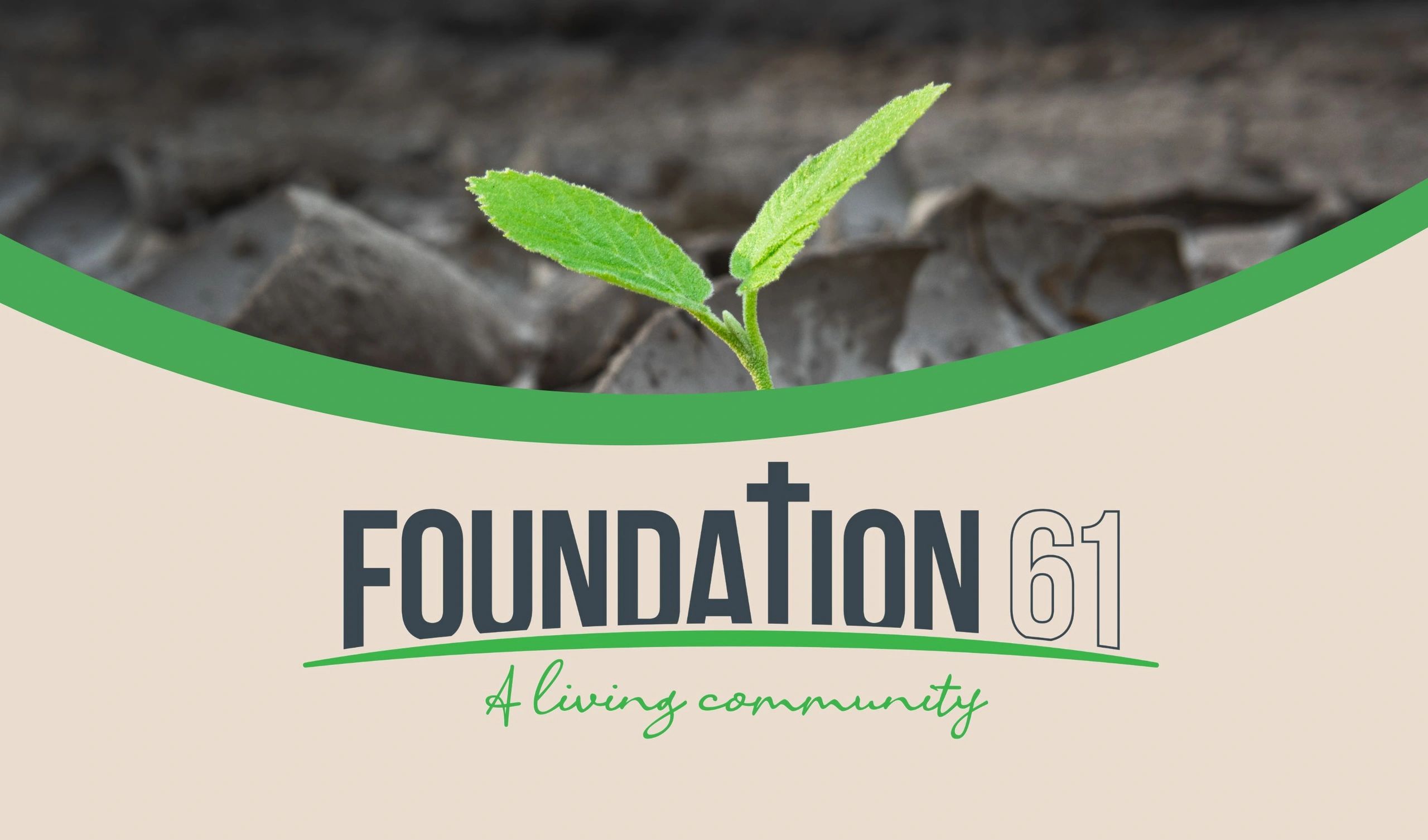Foundation 61 Inc - Addiction Treatment for Women, Rehab for Women ...