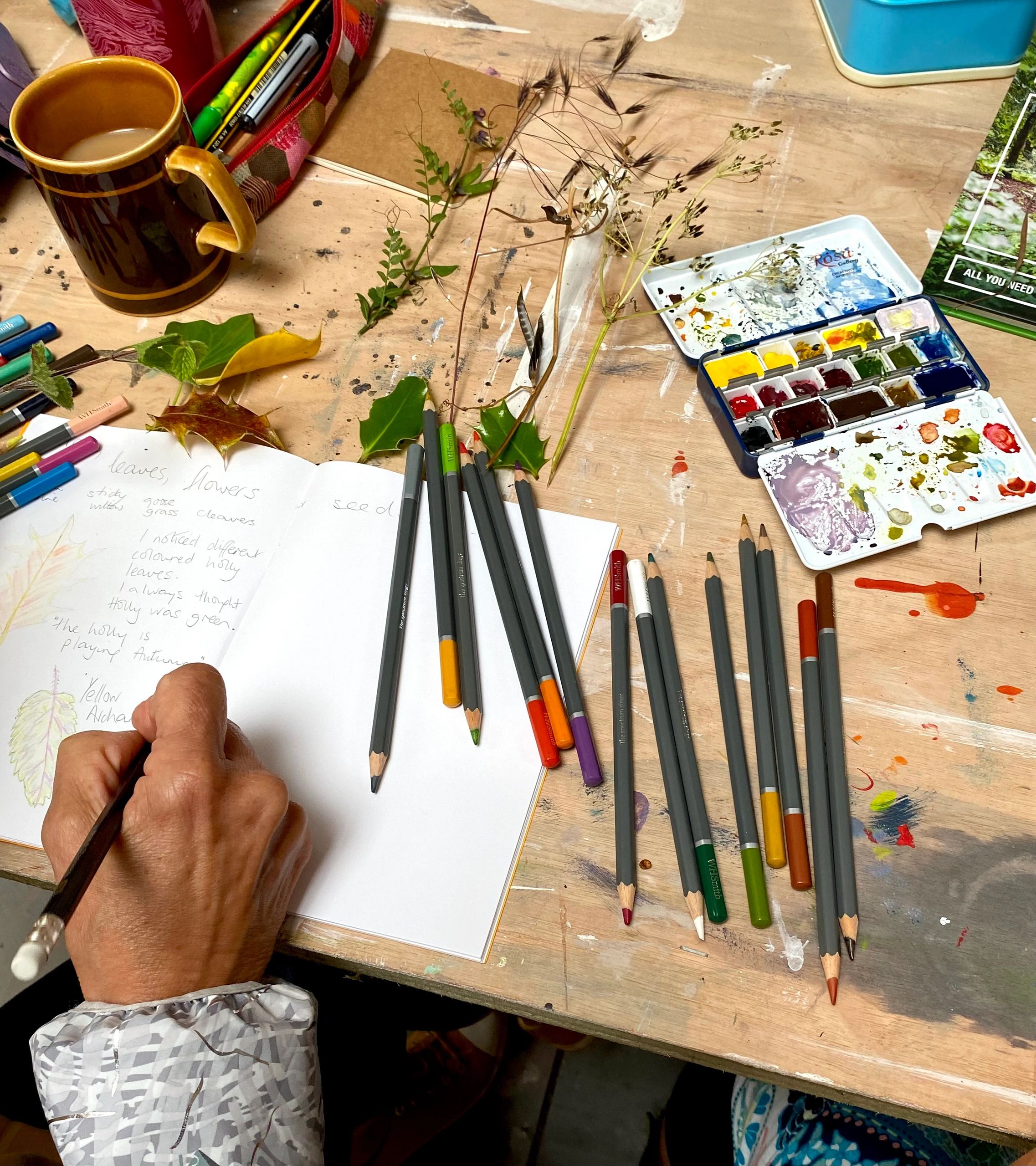 Nature Journaling - Get Out Get Arty