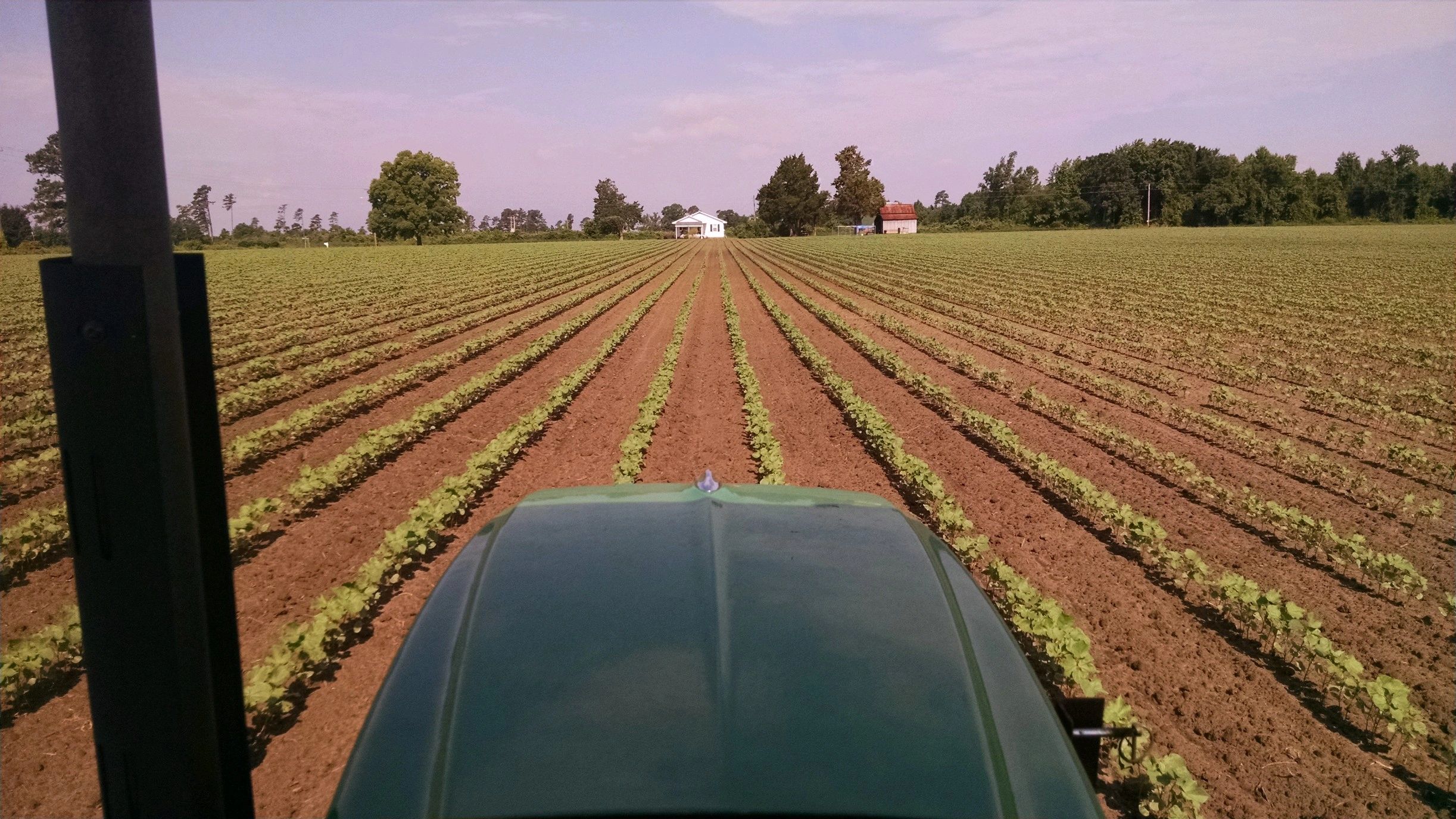 Duplin County Farmer