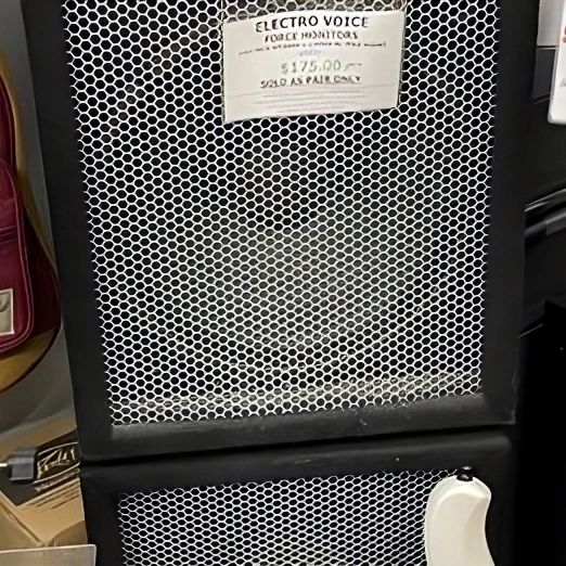 Electro Voice Monitor Pair