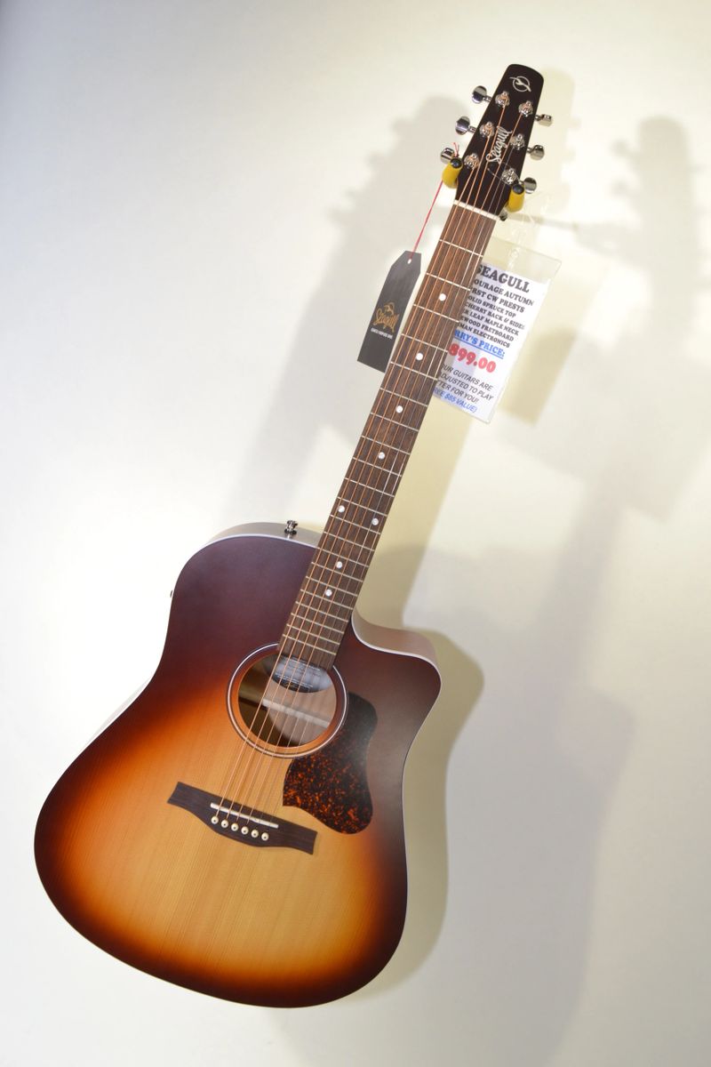 Seagull Entourage CW Presys Acoustic Electric Guitar Autumn Burst ...
