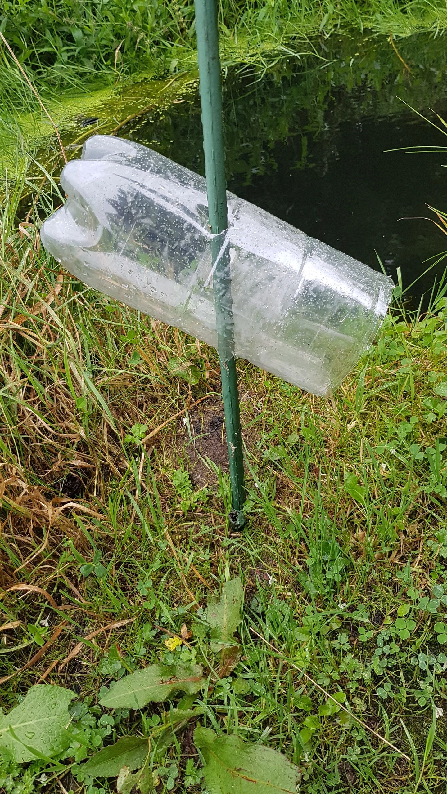 Bottle Trap or Death Trap