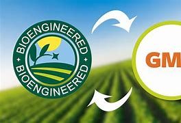 What is a Bioengineered Food Product?