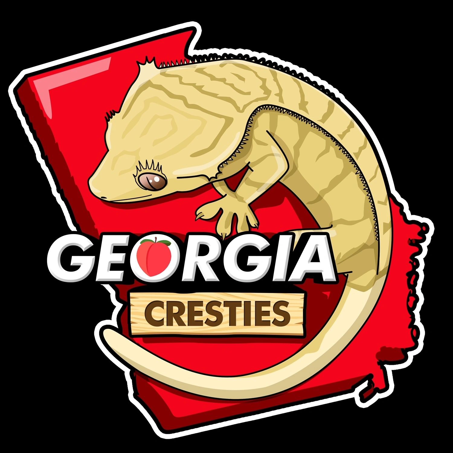 Available Geckos | Georgia Cresties