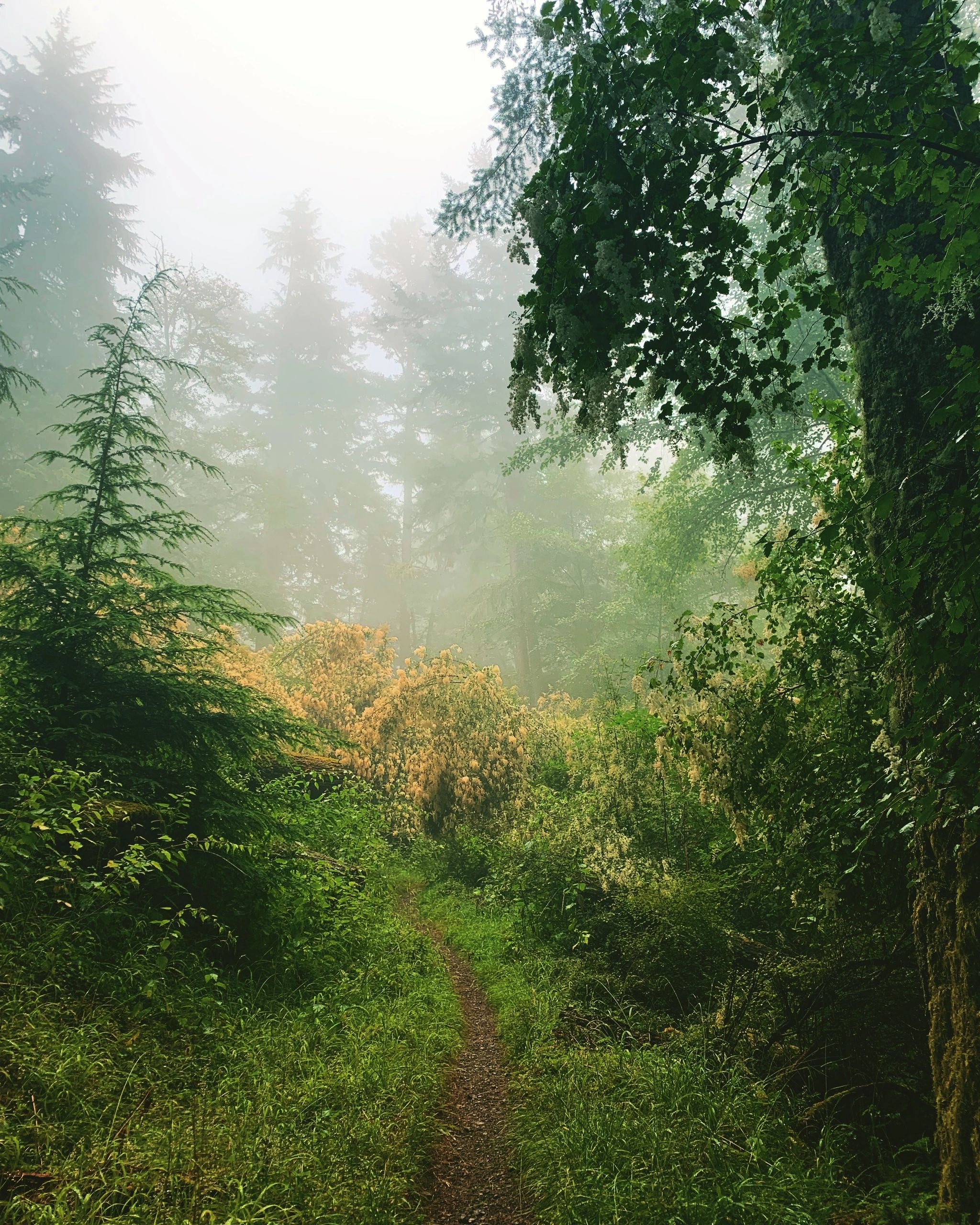 A Safe Space Therapy - Teletherapy, Therapy for Individuals, Teens ...