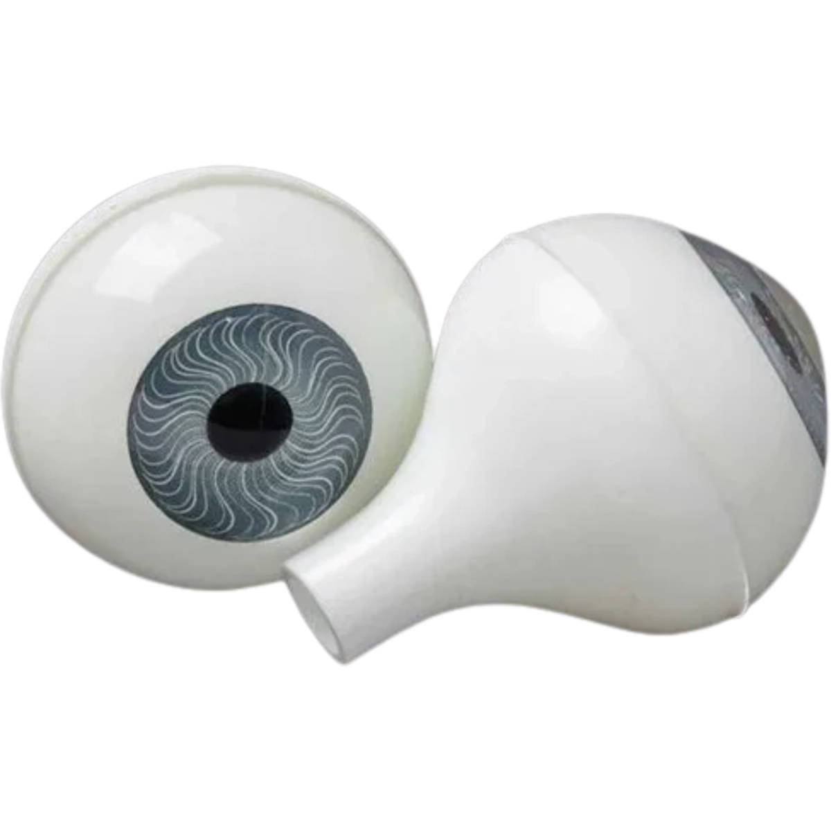 Life Size Adult Human FULL ROUND EYEBALLS w/STEM Body Parts Props Doll ...