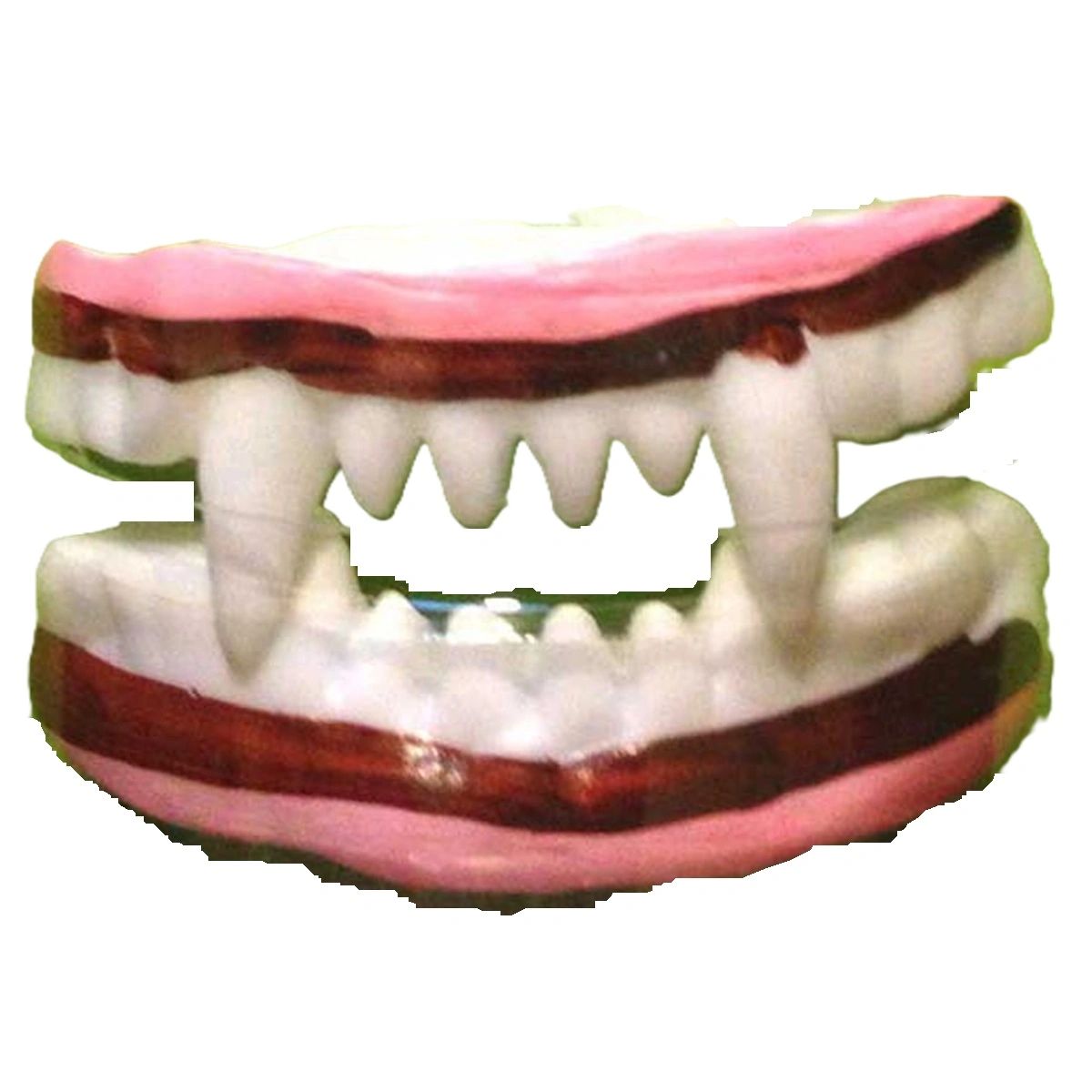 Creepy HORROR TEETH FANGS DENTURE Zombie Monster Pirate Costume ...
