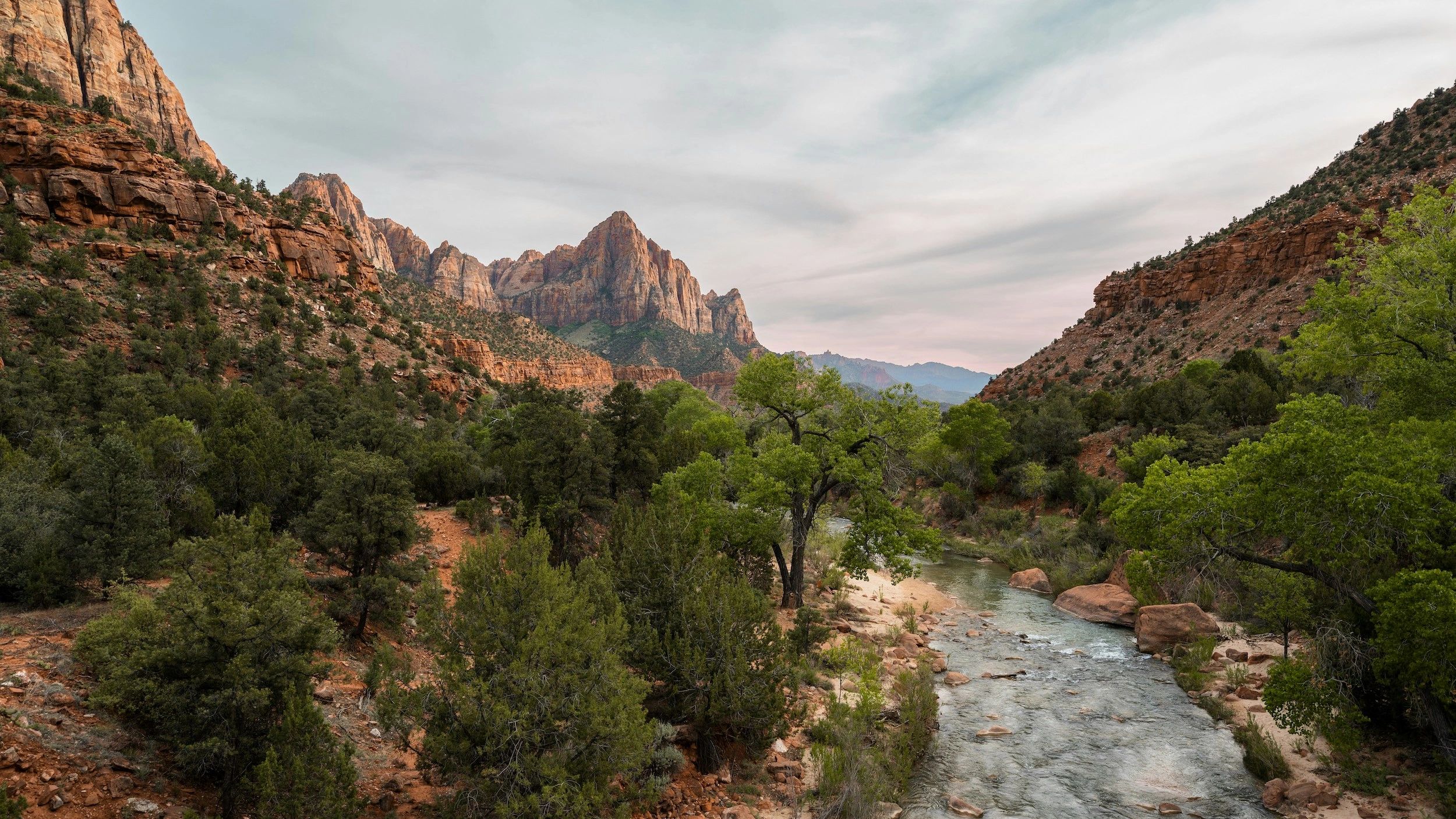 Red Rock Shuttle: Convenient Zion Shuttle Bus Services