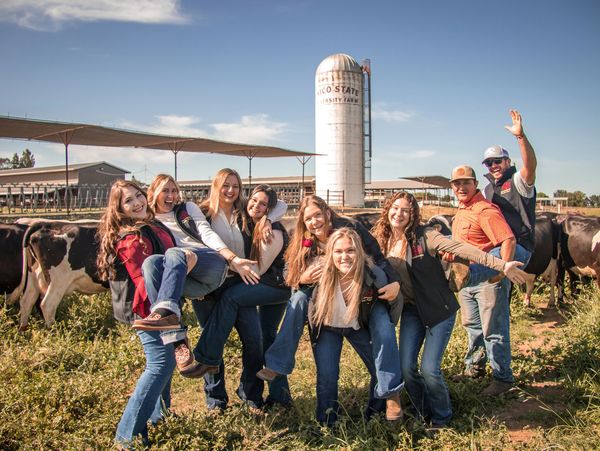 Chico State University Farm