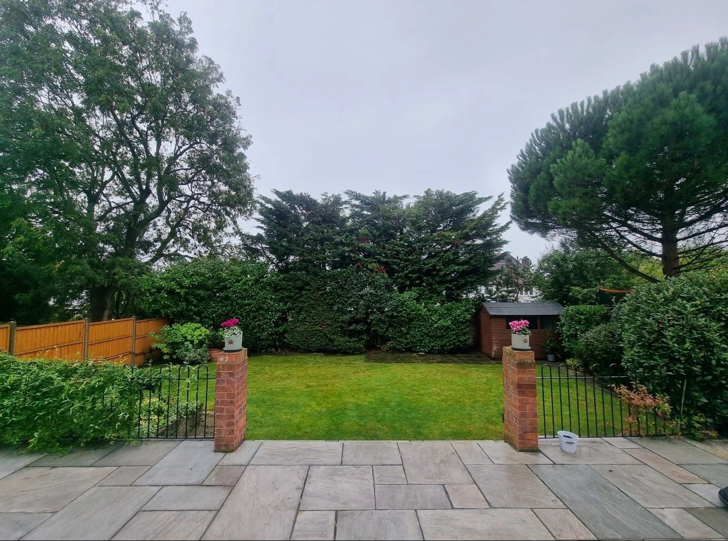 Trusted Tree Surgery Experts for Your Needs