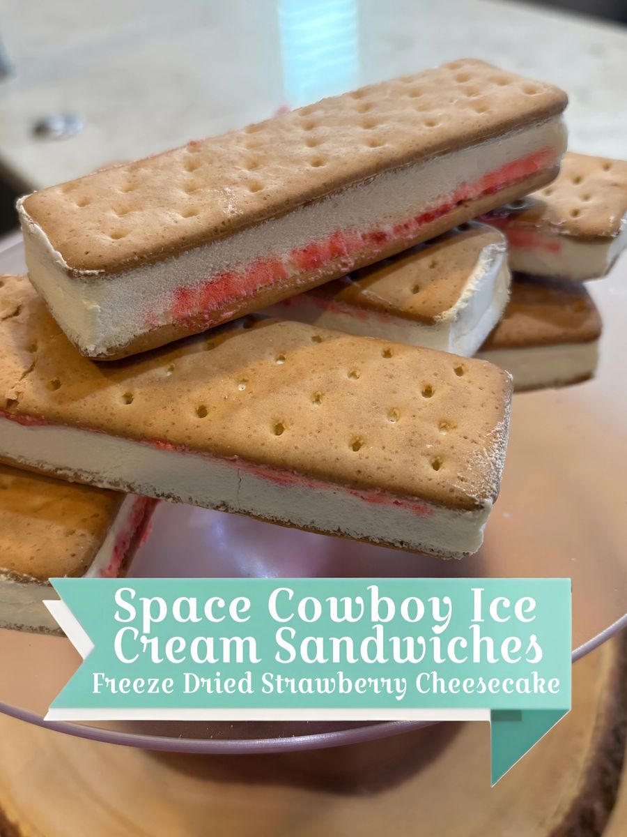 Space Cowboy Ice Cream Bar Bites - Freeze Dried Strawberry Cheesecake ...
