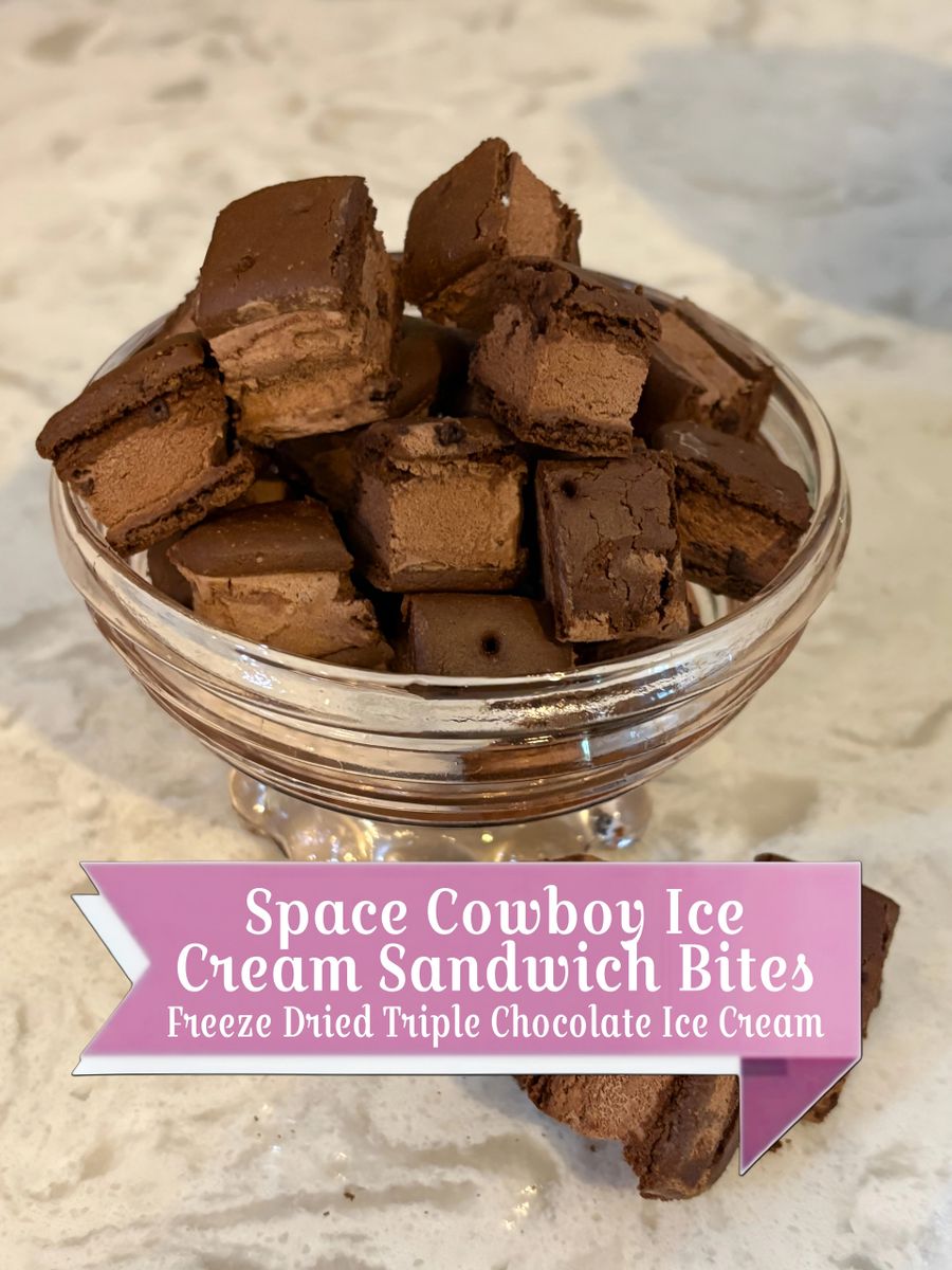 Space Cowboy Ice Cream Sandwiches - Freeze Dried Triple Chocolate Ice ...