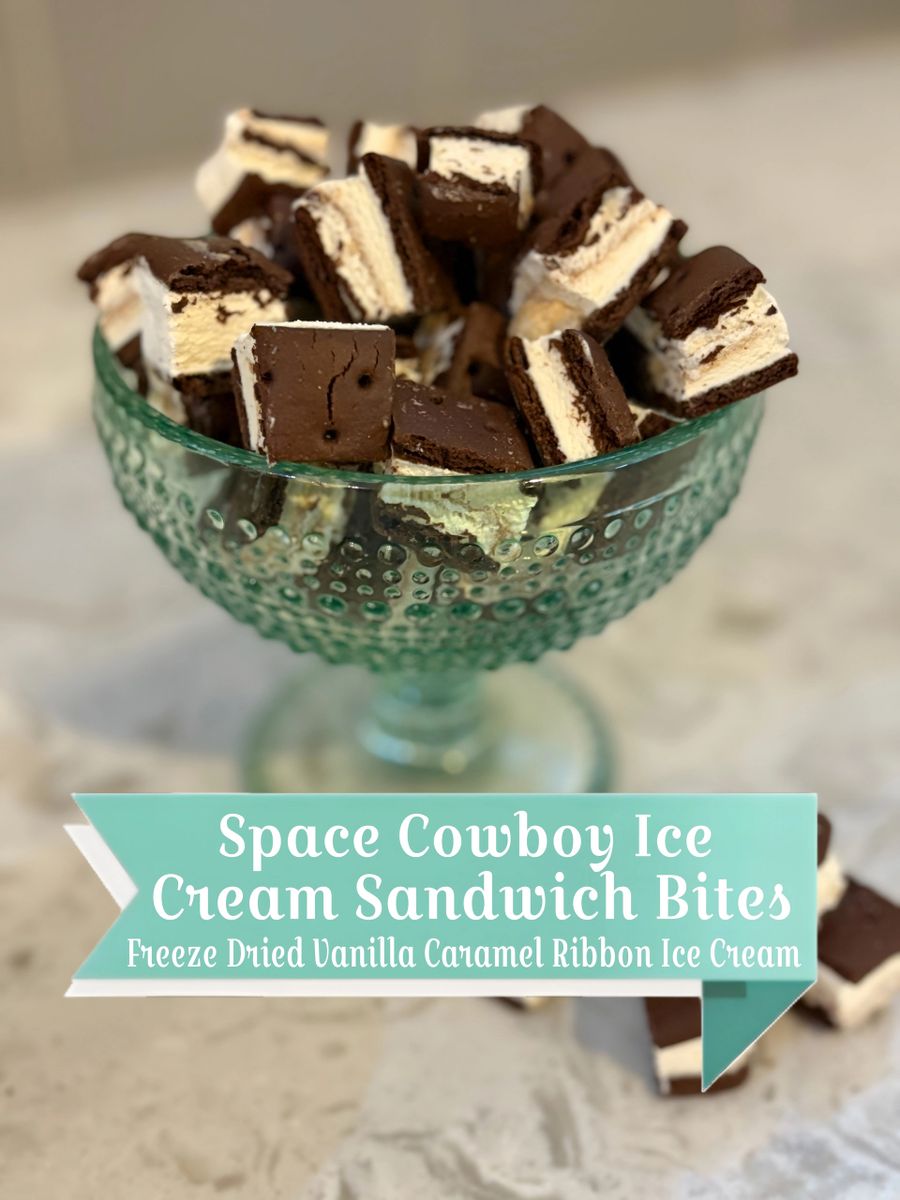 Space Cowboy Ice Cream Sandwiches - Freeze Dried Vanilla Caramel Ribbon ...