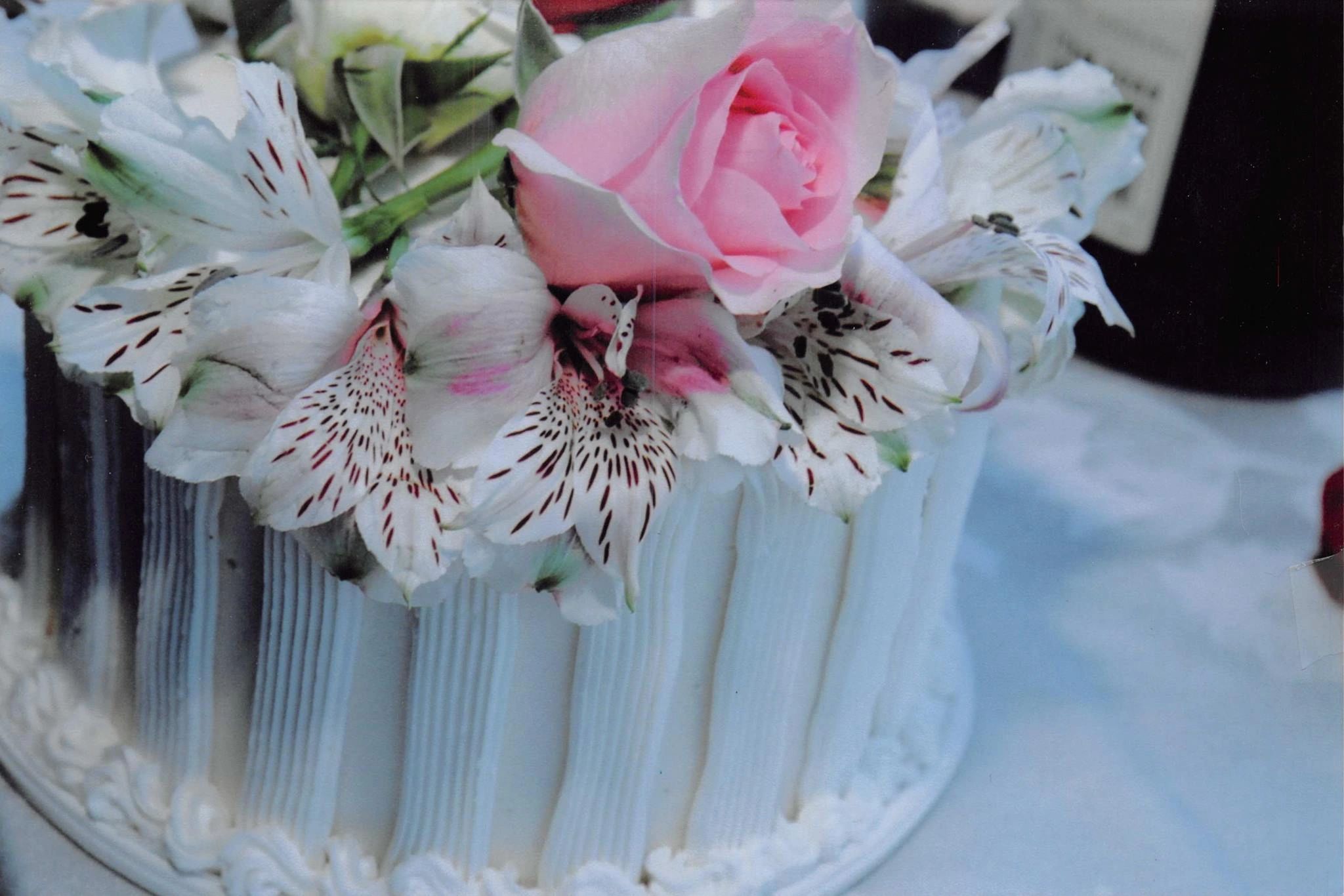 Kate's Cakes