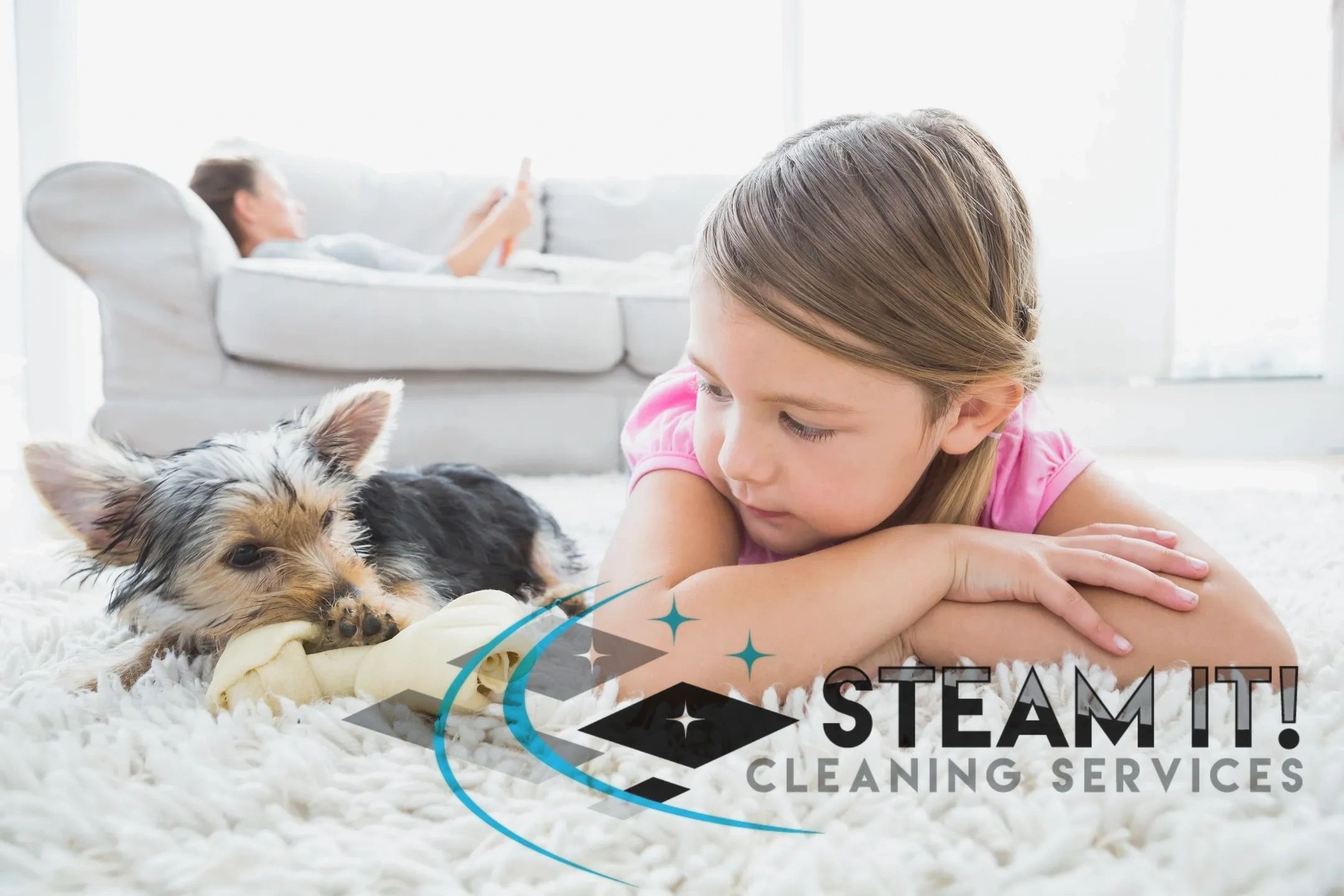 Steam It! Cleaning Services - Home