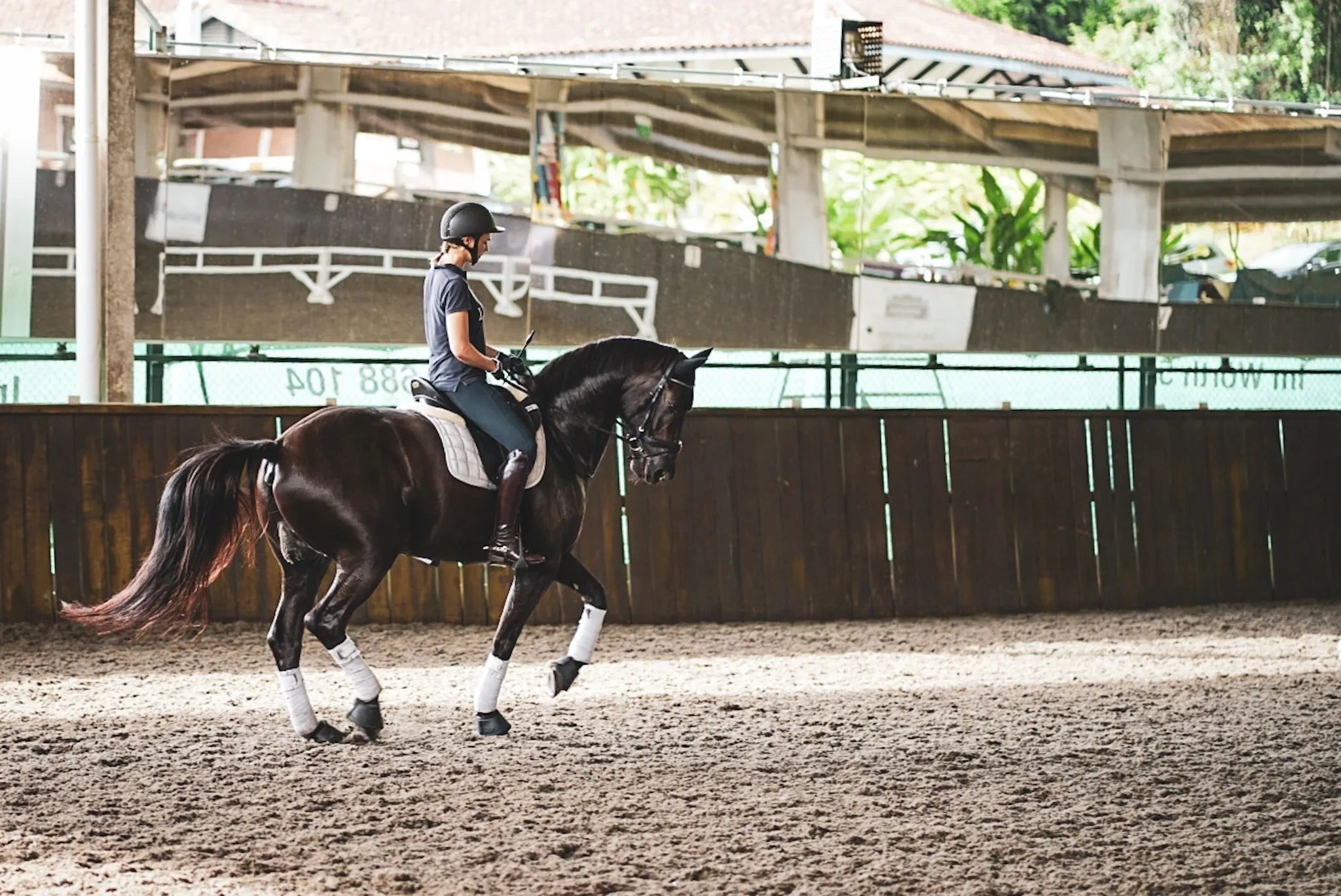 Dressage | Equestrian Federation of Singapore Dressage | Equestrian Federation of Singapore