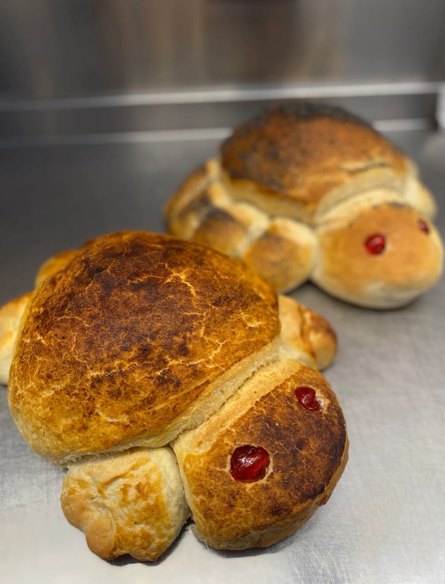 Tortoise Bread