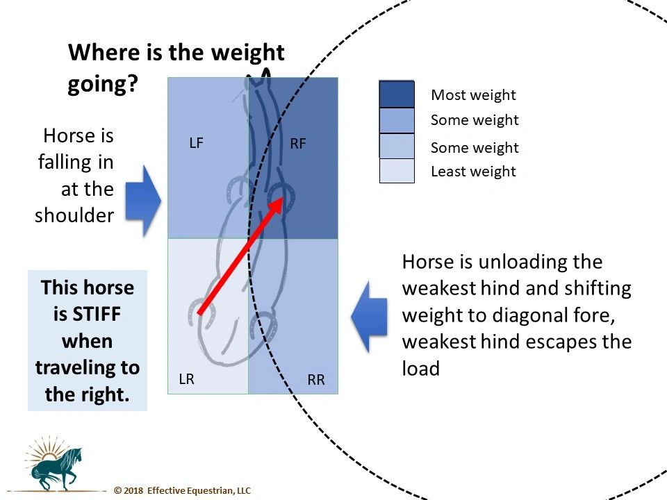 STIFF VS. HOLLOW Part II: The Stiff Side