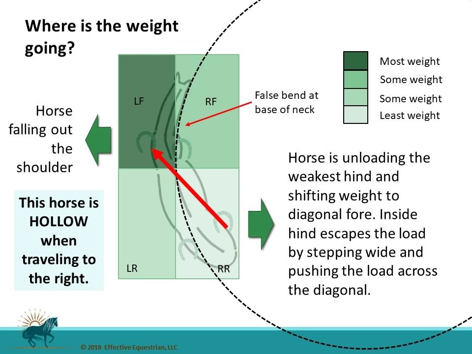 STIFF VS. HOLLOW Part III: The Hollow Side