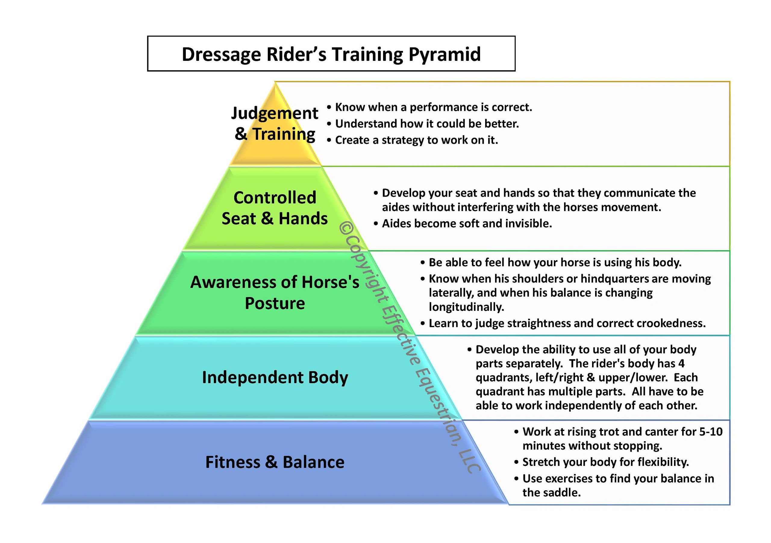 DRESSAGE RIDER’S TRAINING PYRAMID
