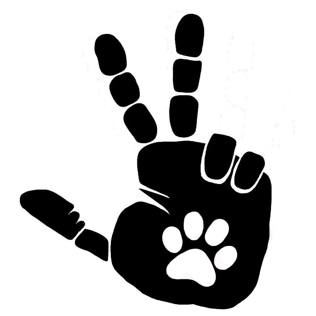 Jeep Wave - Paw