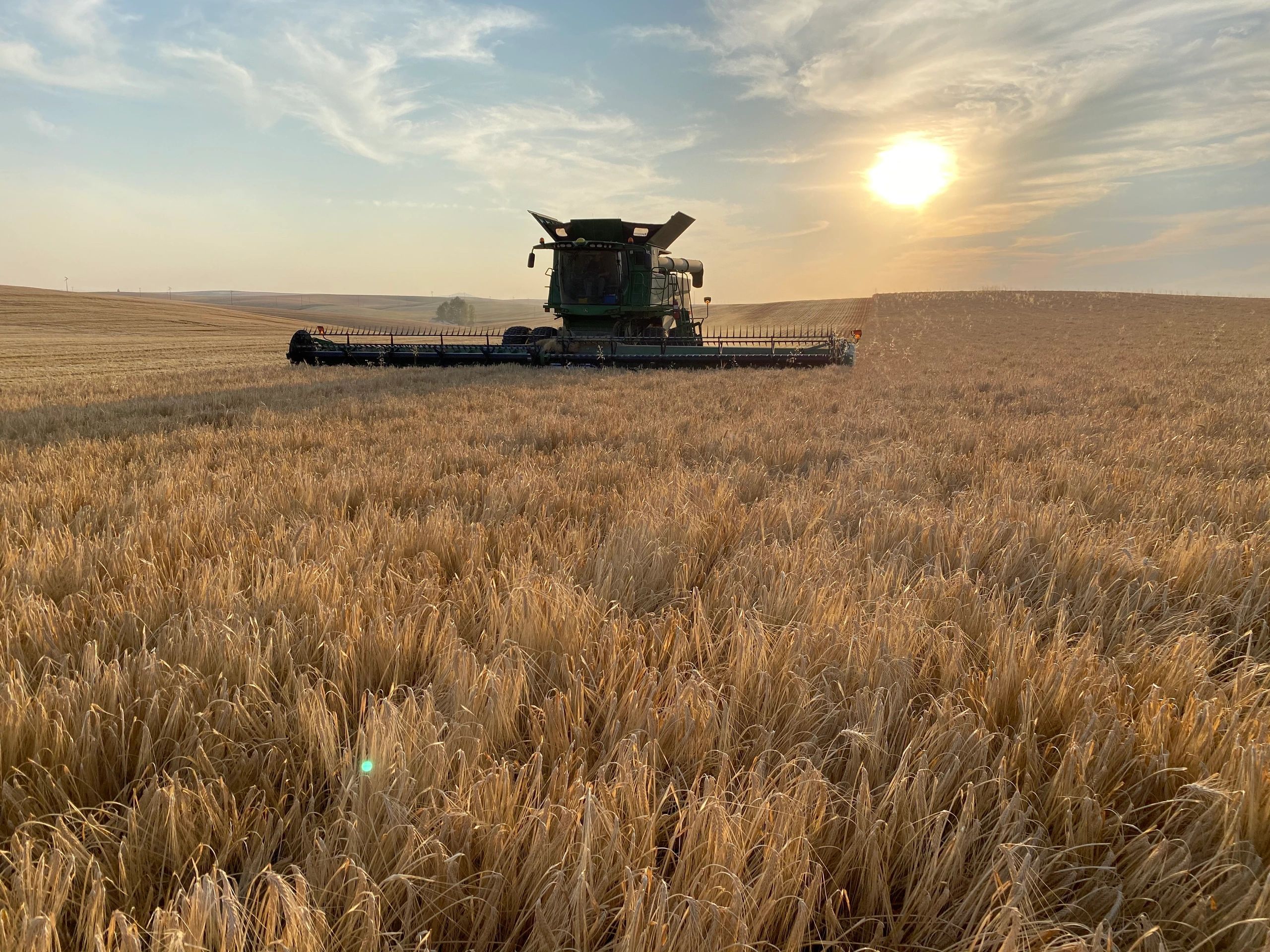 Cold Stream Malt and Grain - Farm Direct Malt, Grain, Barley