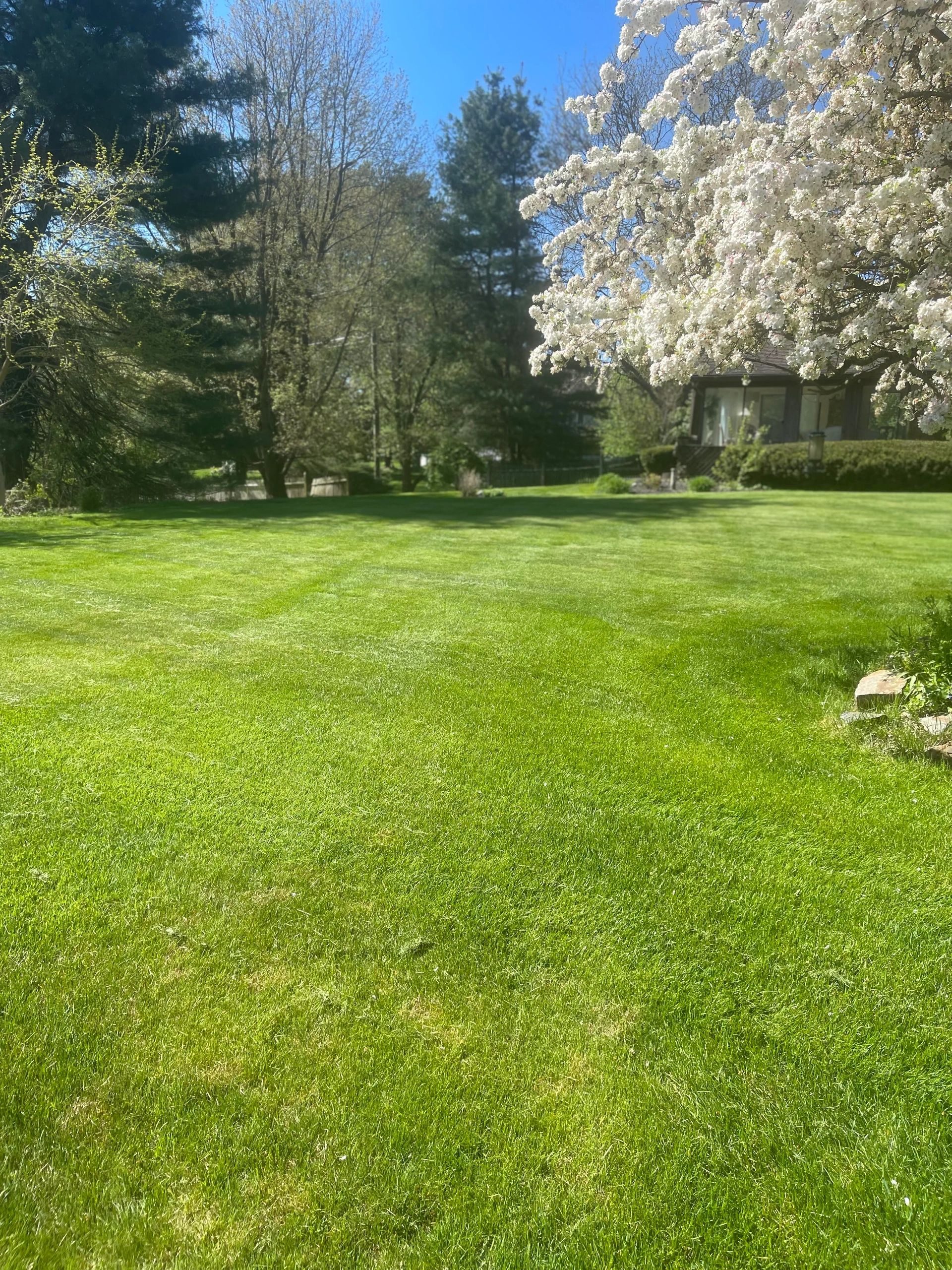 Felipe's landscaping