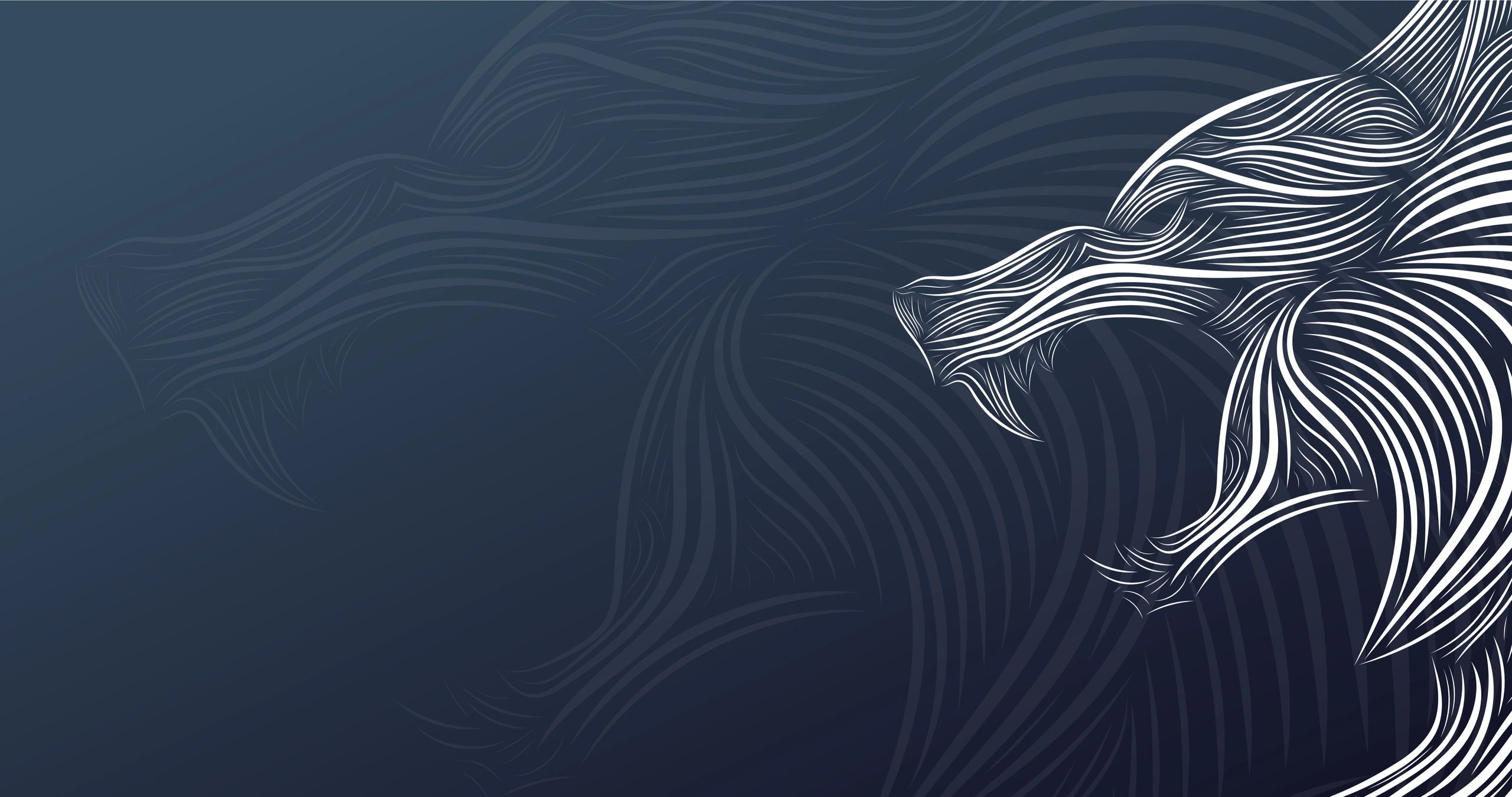 Silver Wolf Solutions, LLC