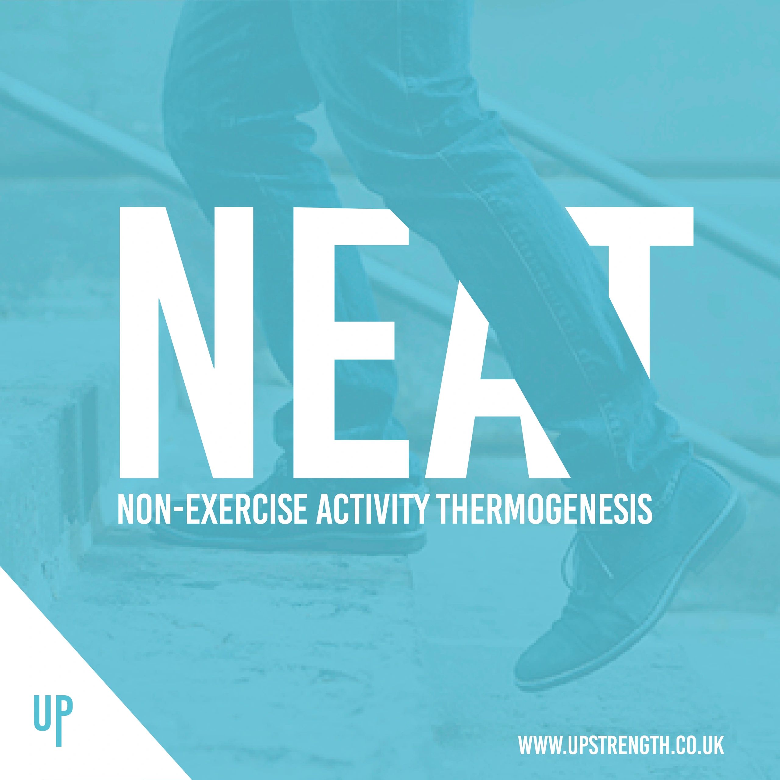 What is 'NEAT' and why is it so important?