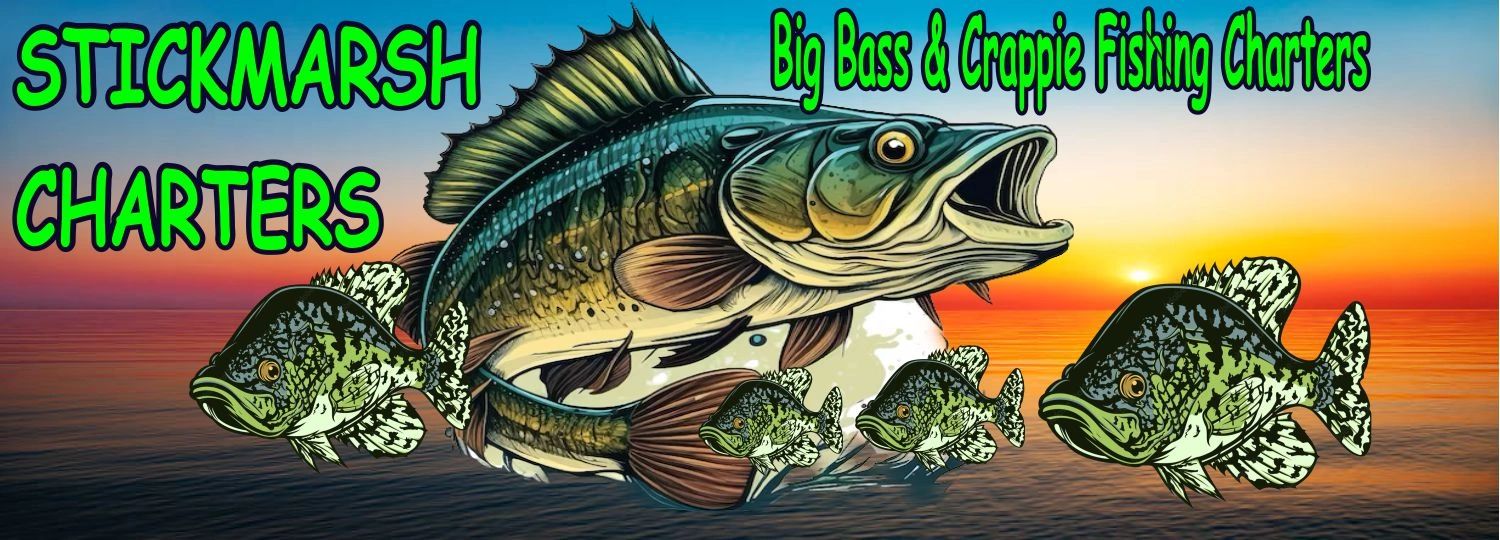 Bass Fishing Guide | Stick Marsh