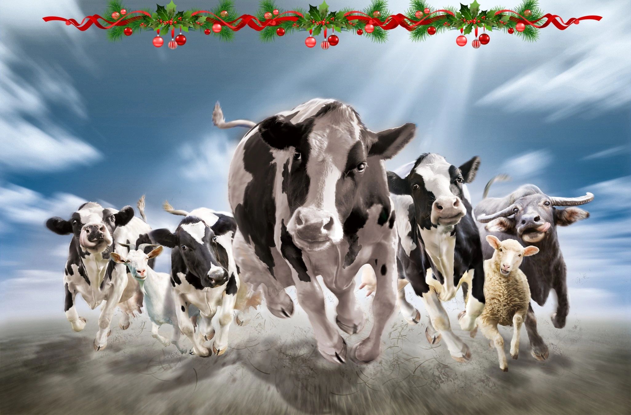 Roberts Dairy Service - Products, Dairy Farm, Dairy